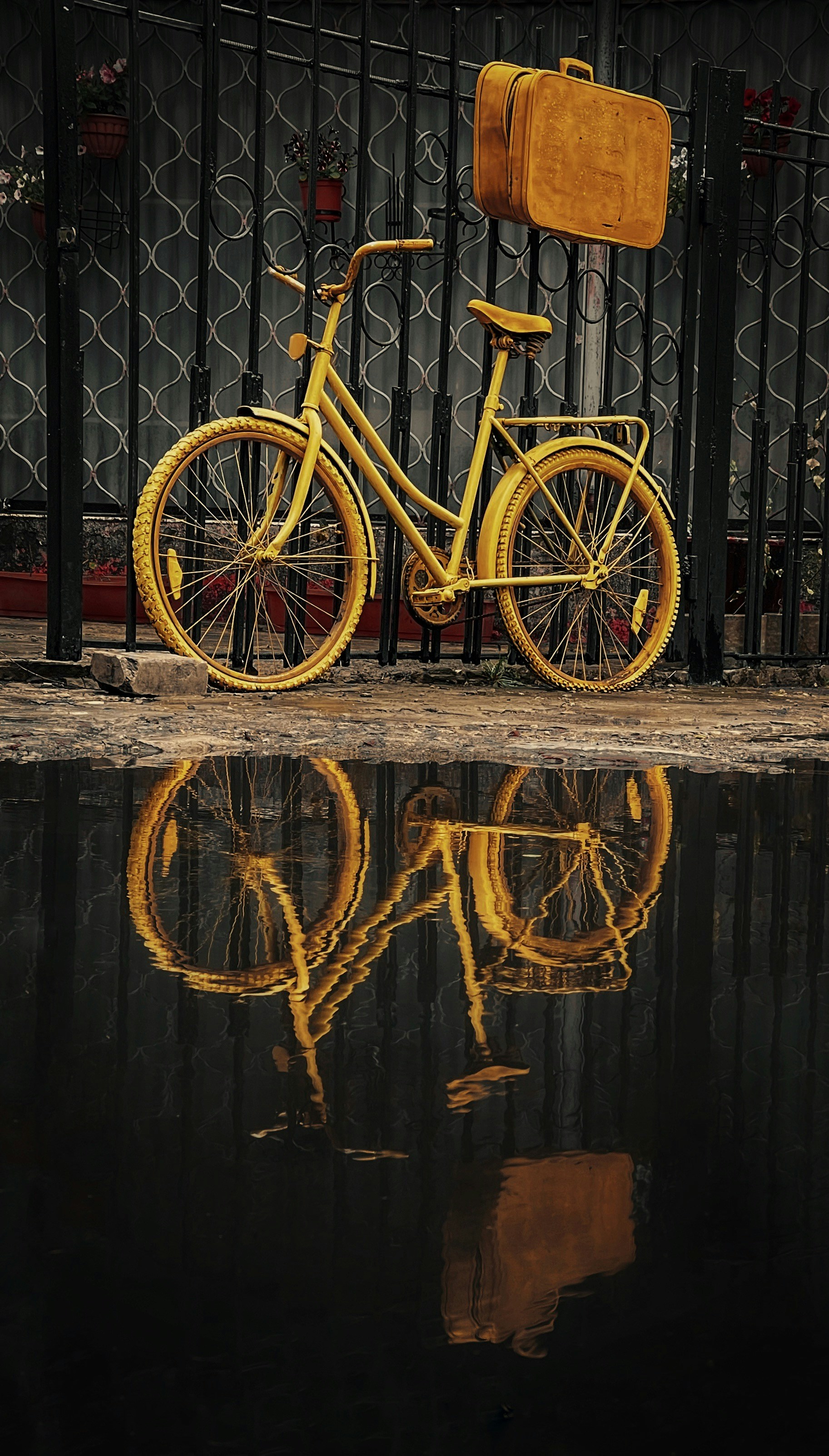 Bright yellow bicycle with a suitcase perched on the handlebars, reflected in a puddle beside a decorative fence.