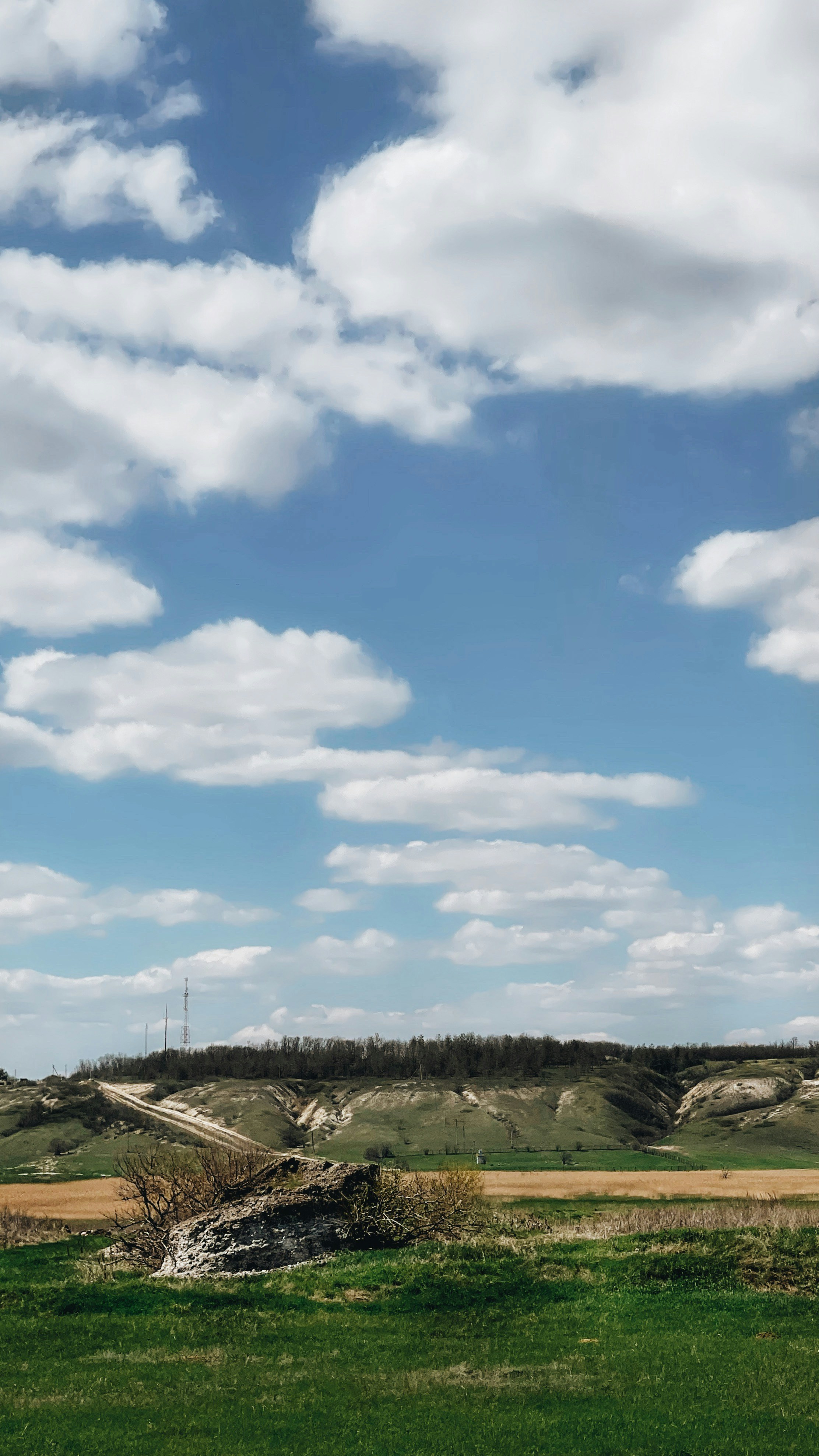 Sunlit Field under a Sky of Cotton