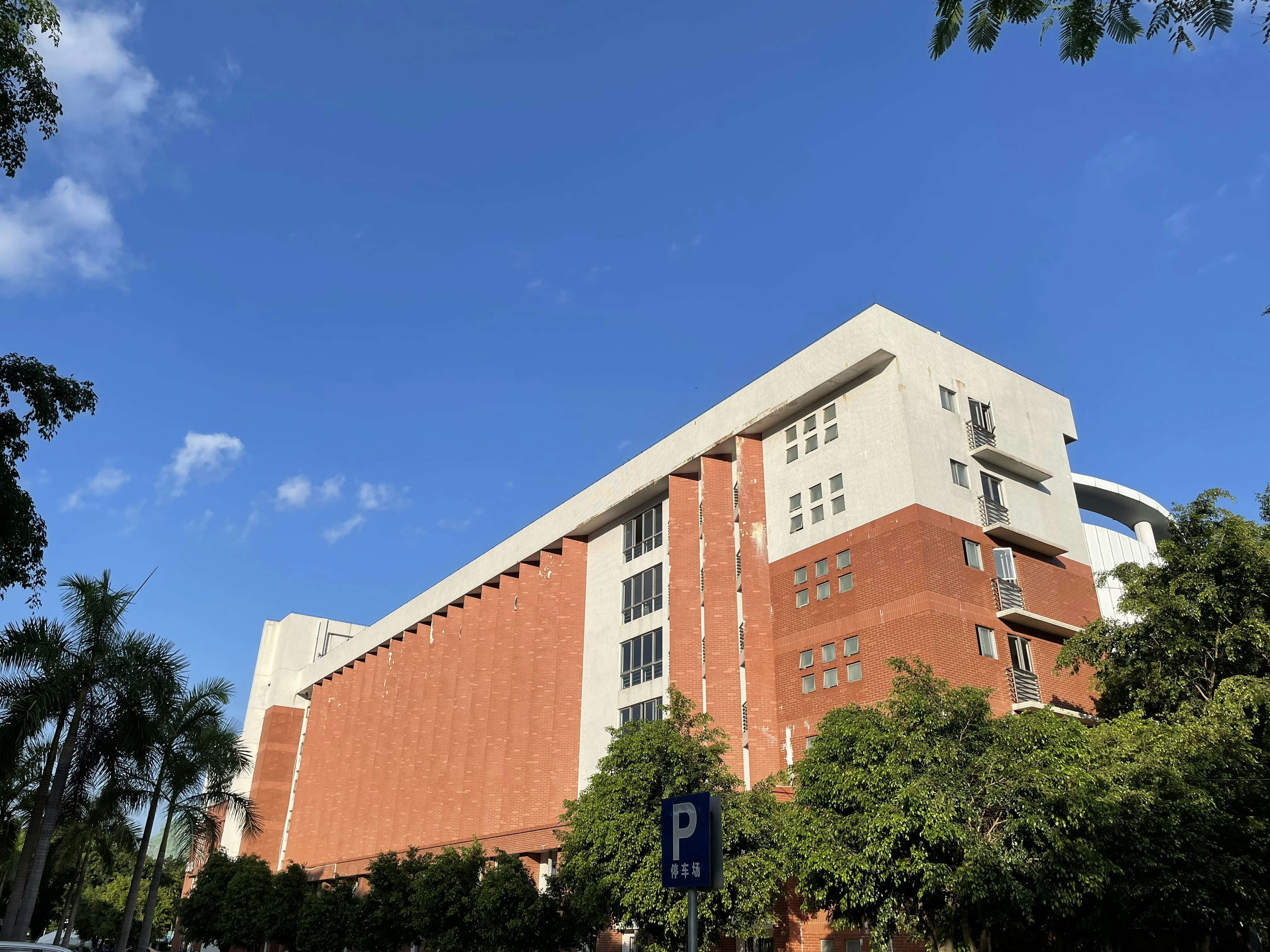 Imagens de Zhaoqing University | Baixe imagens gratuitas na Unsplash