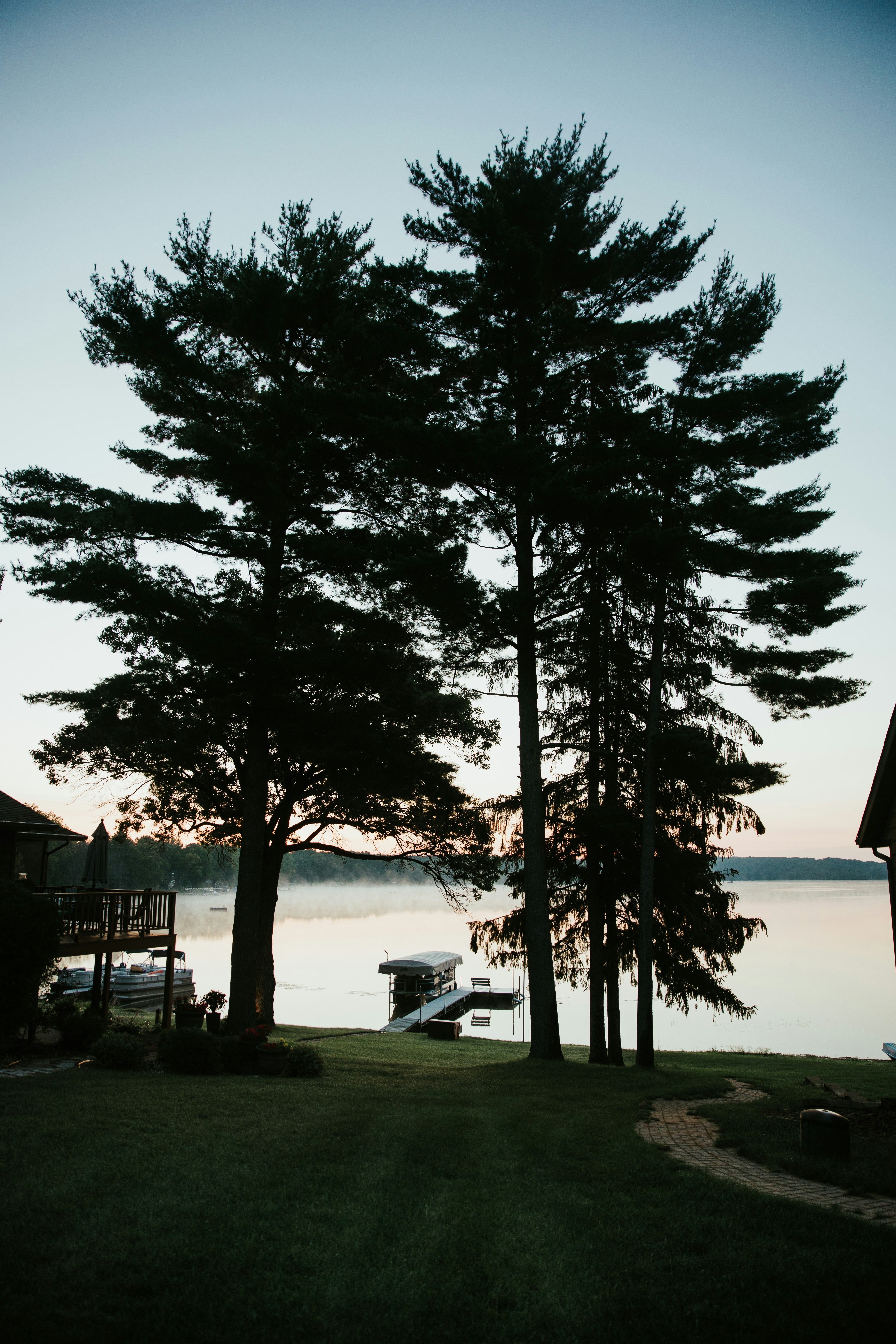 Pines at the Quiet Shore: Dawn over a Glassy Lake
