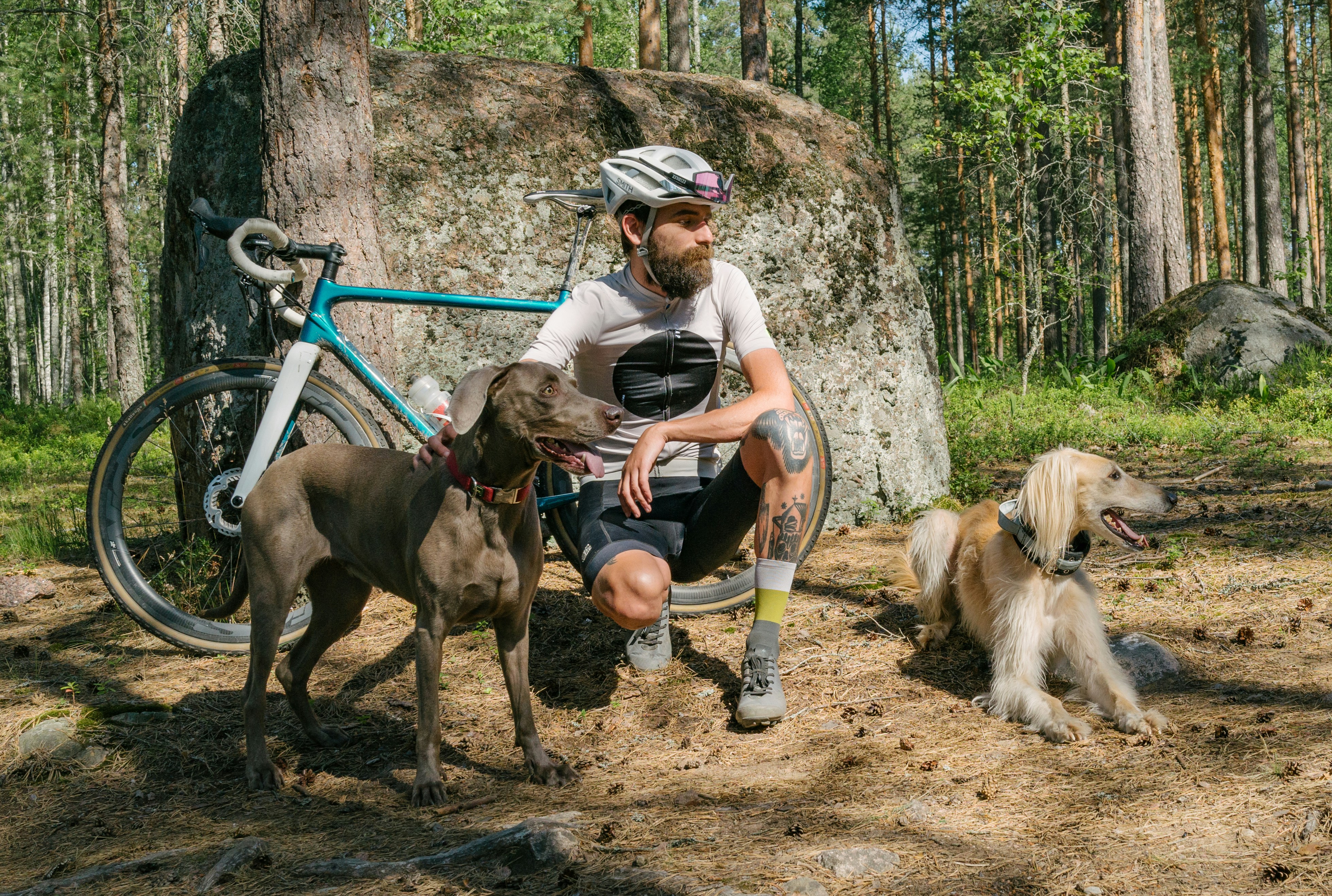 Cyclist resting among tall trees with two dogs, a greyhound and a golden retriever, beside a mountain bike. Sunlight filters through the foliage, creating a serene atmosphere.
