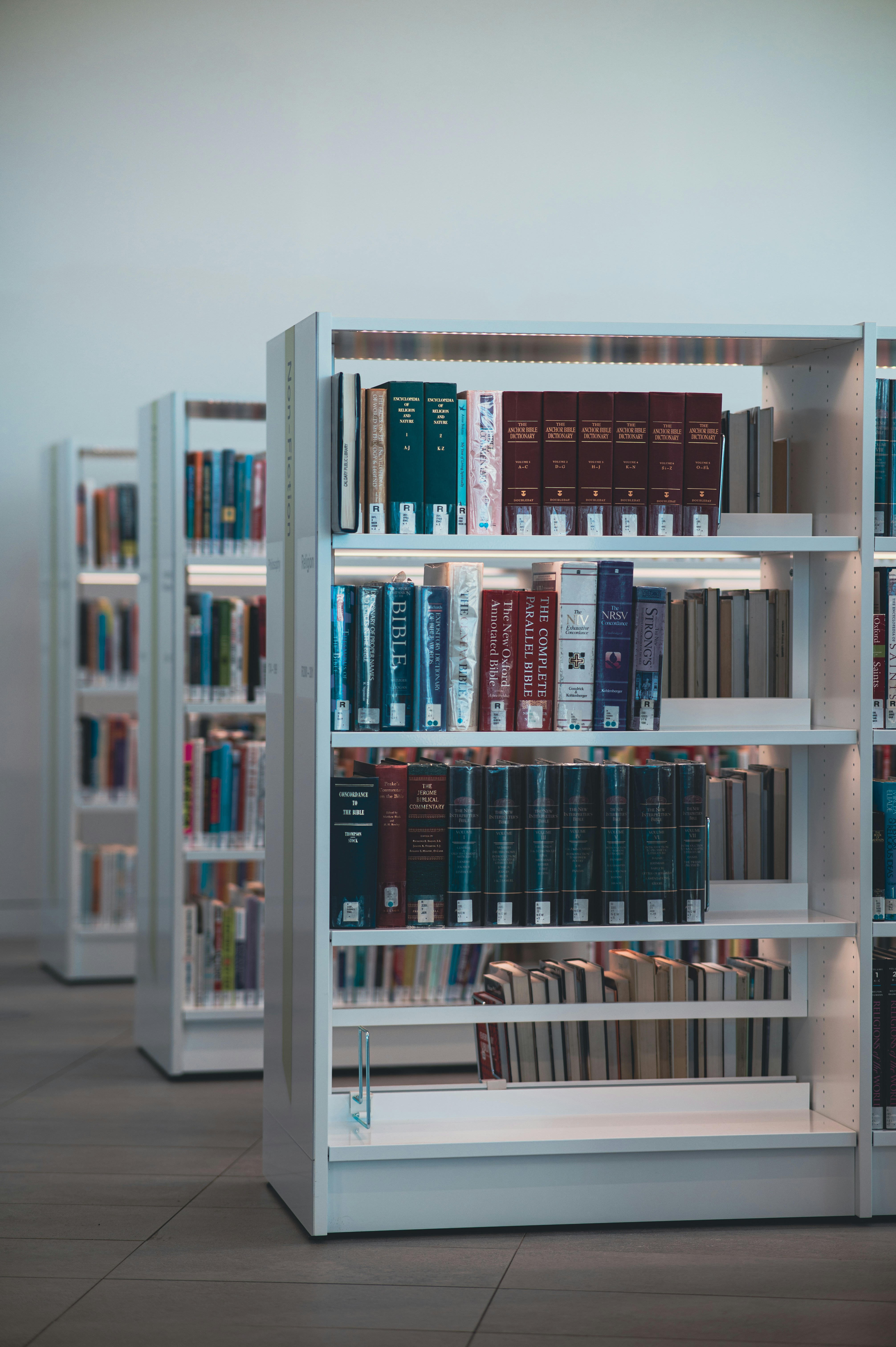Libraries Pictures | Download Free Images on Unsplash