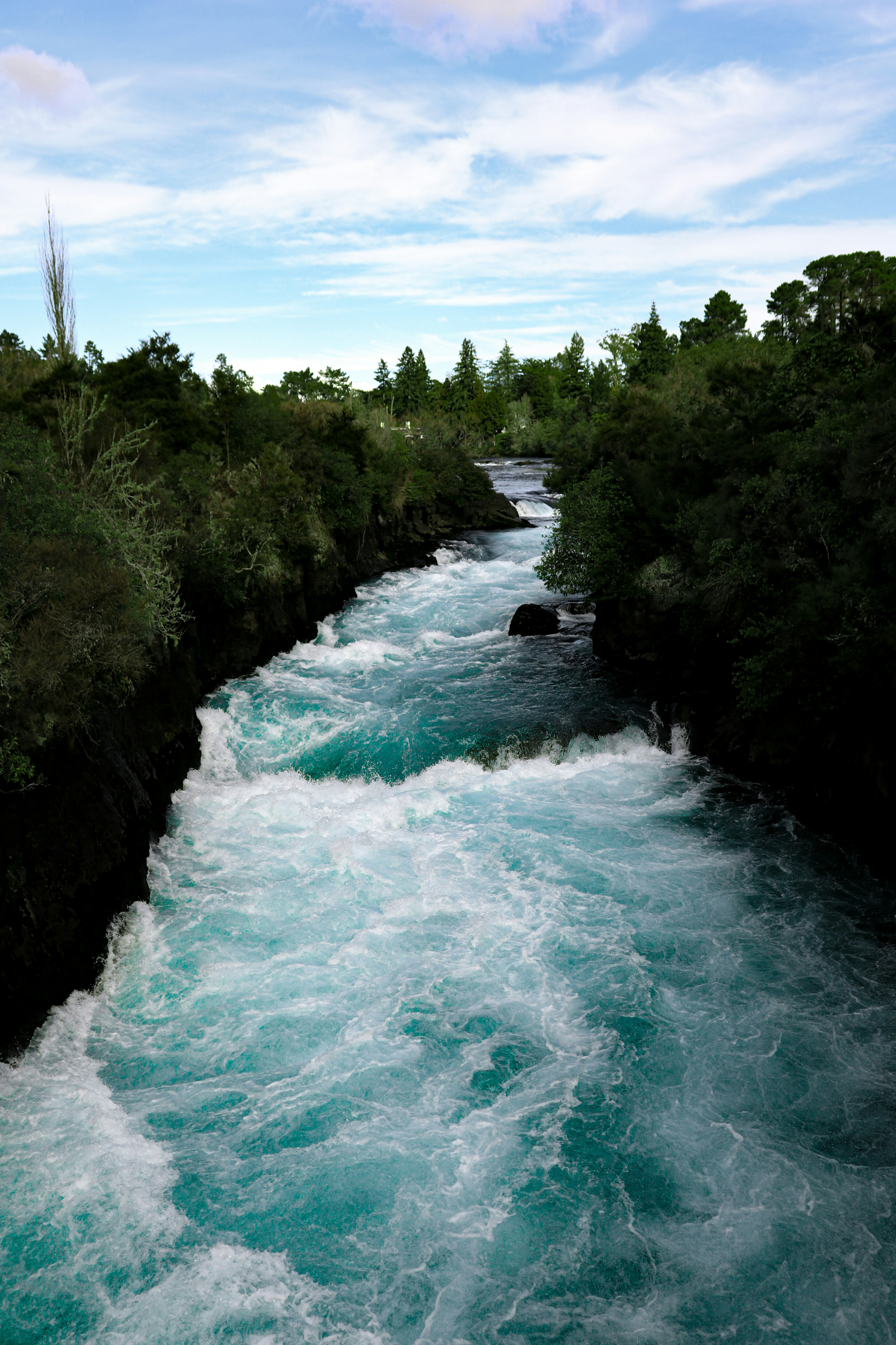 green trees beside river under blue sky during daytimemae black