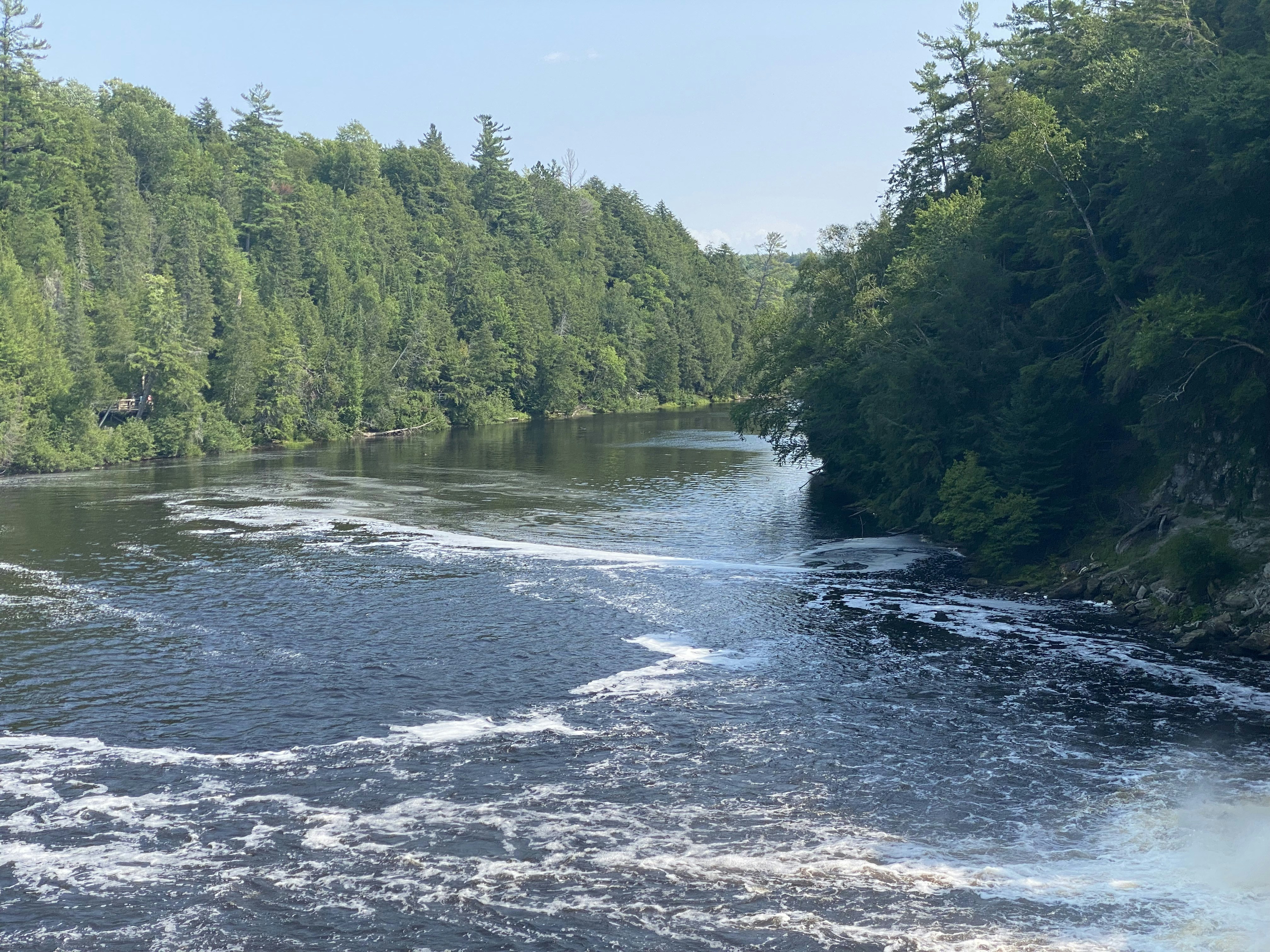 Foto Árboles verdes junto al río durante el día – Imagen Agua gratis en ...