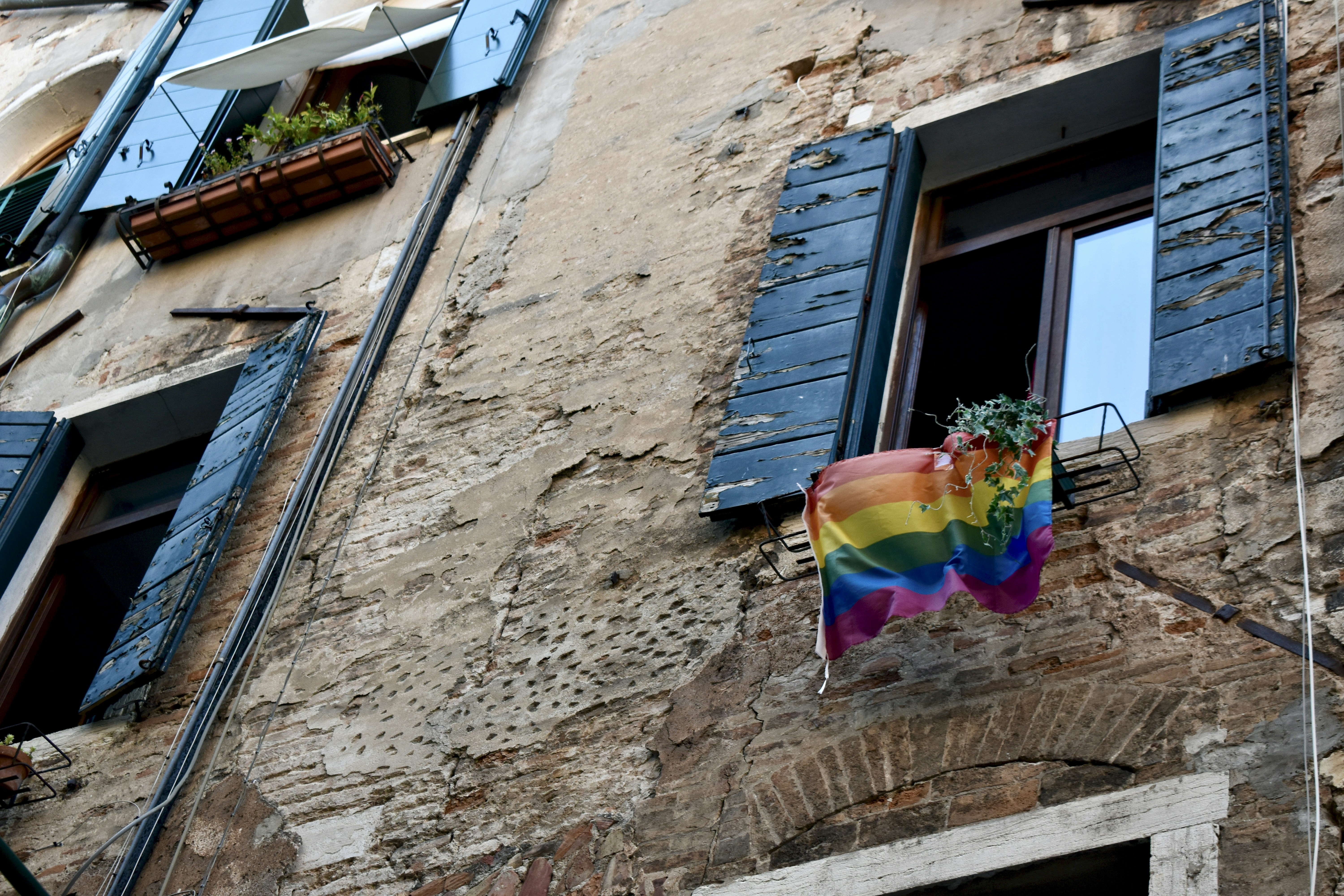 A vibrant rainbow flag drapes from a window adorned with greenery, contrasting with the weathered brick wall of an old building.
