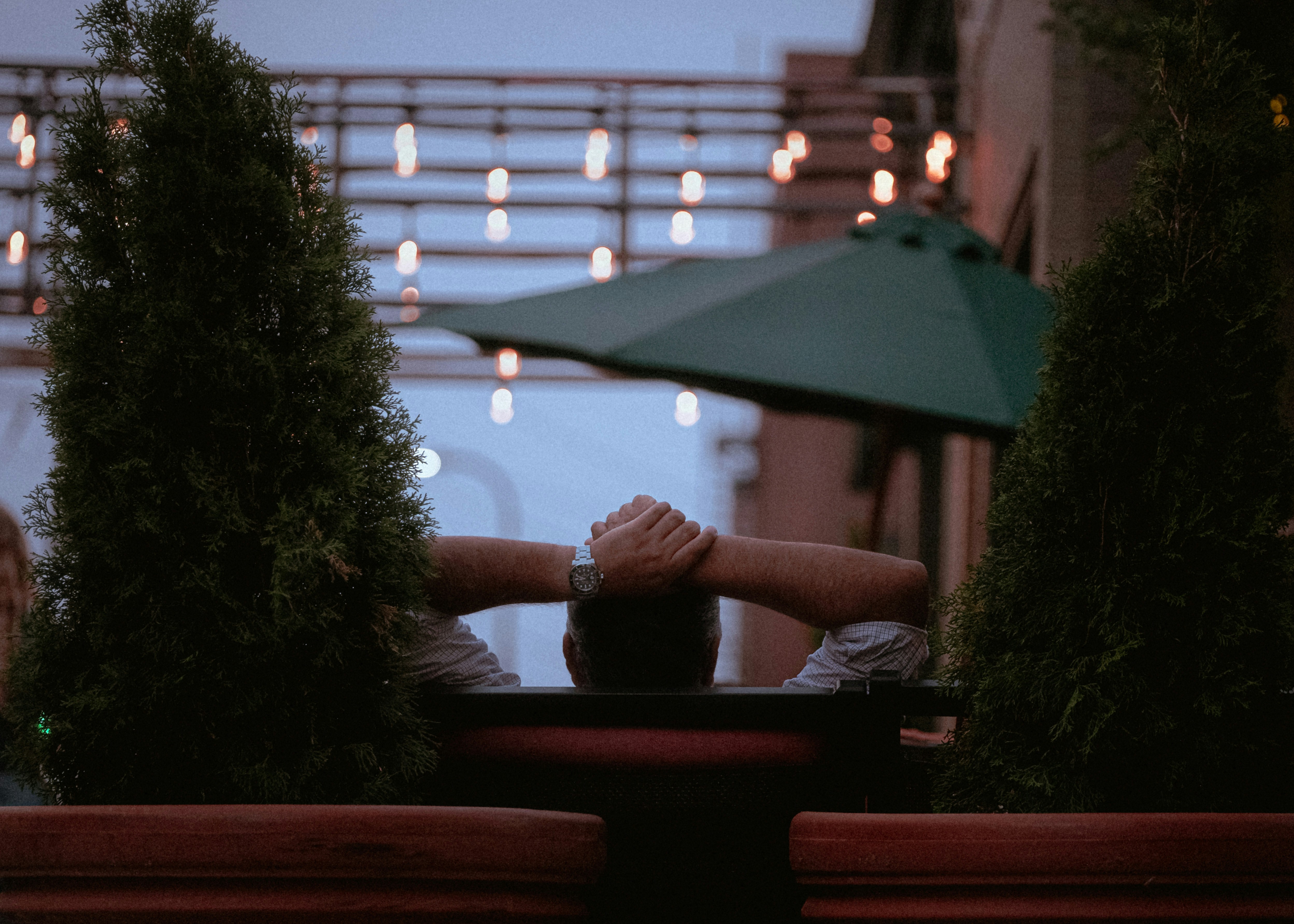 Silhouette of a man relaxing with hands behind his head, framed by greenery and soft ambient lighting from above. 