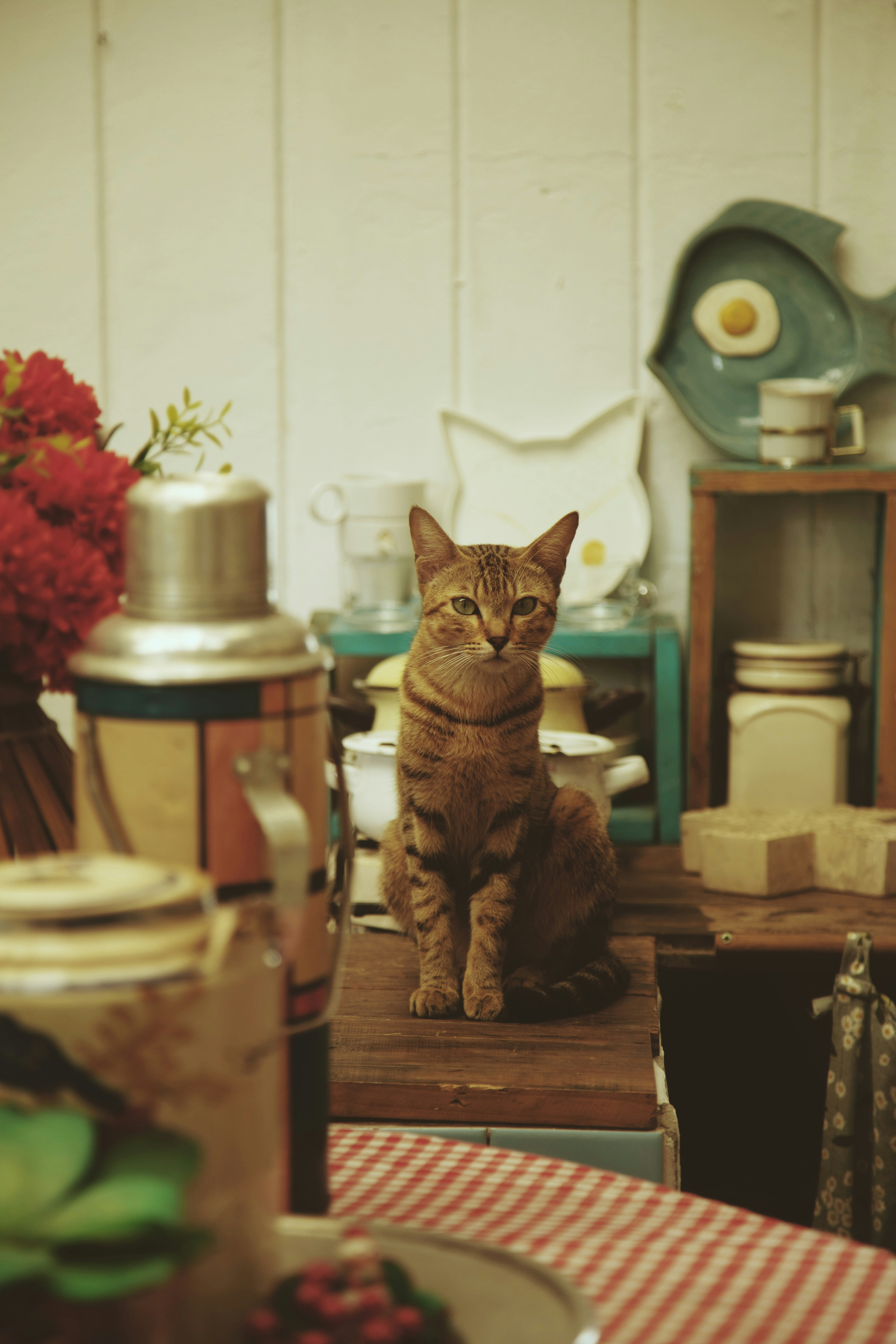 Centerstage Feline: A Patient Cat Among Rustic Kitchen Keepsakes