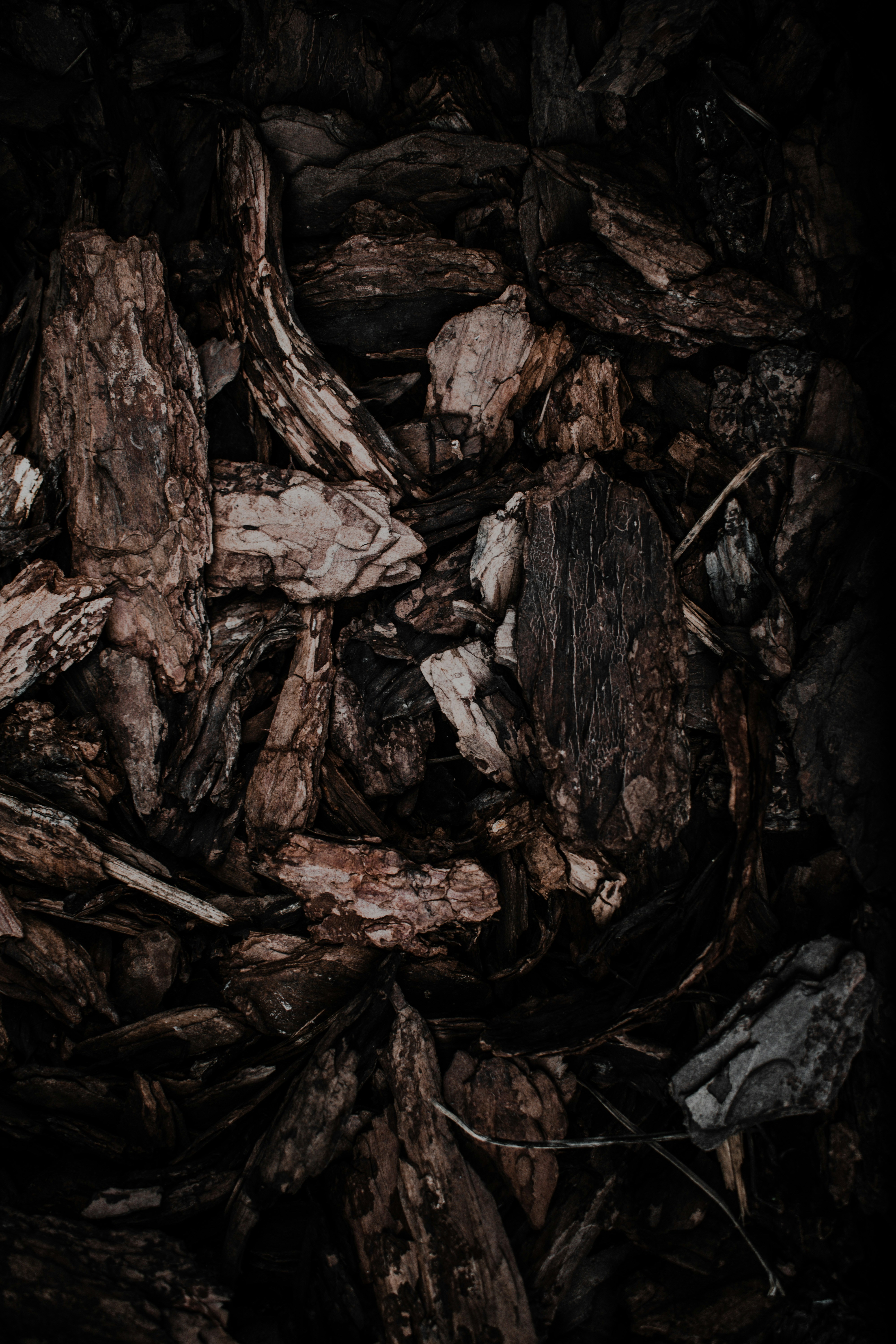 999+ Dark Wood Pictures | Download Free Images on Unsplash