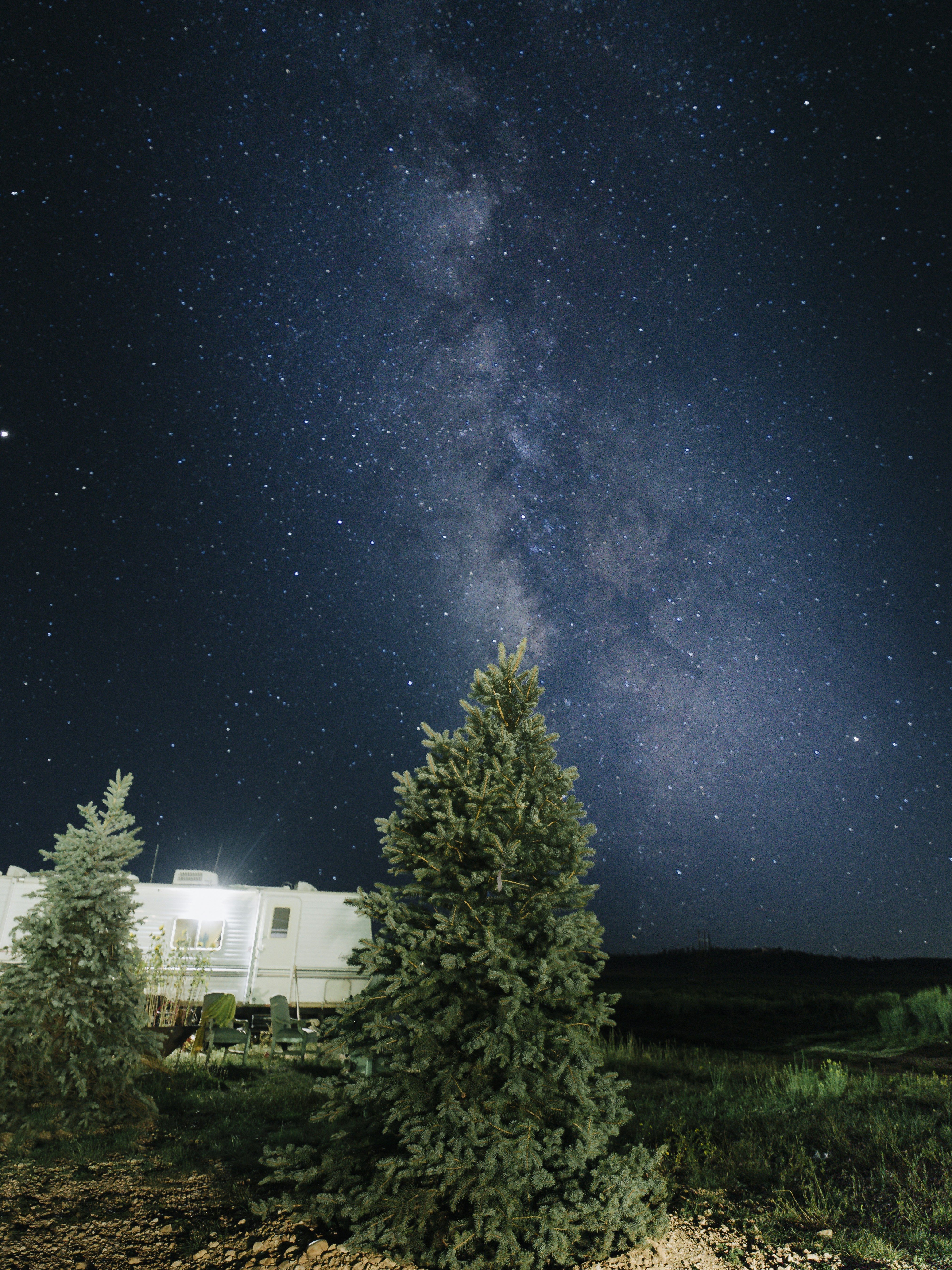 white house near green trees under starry night