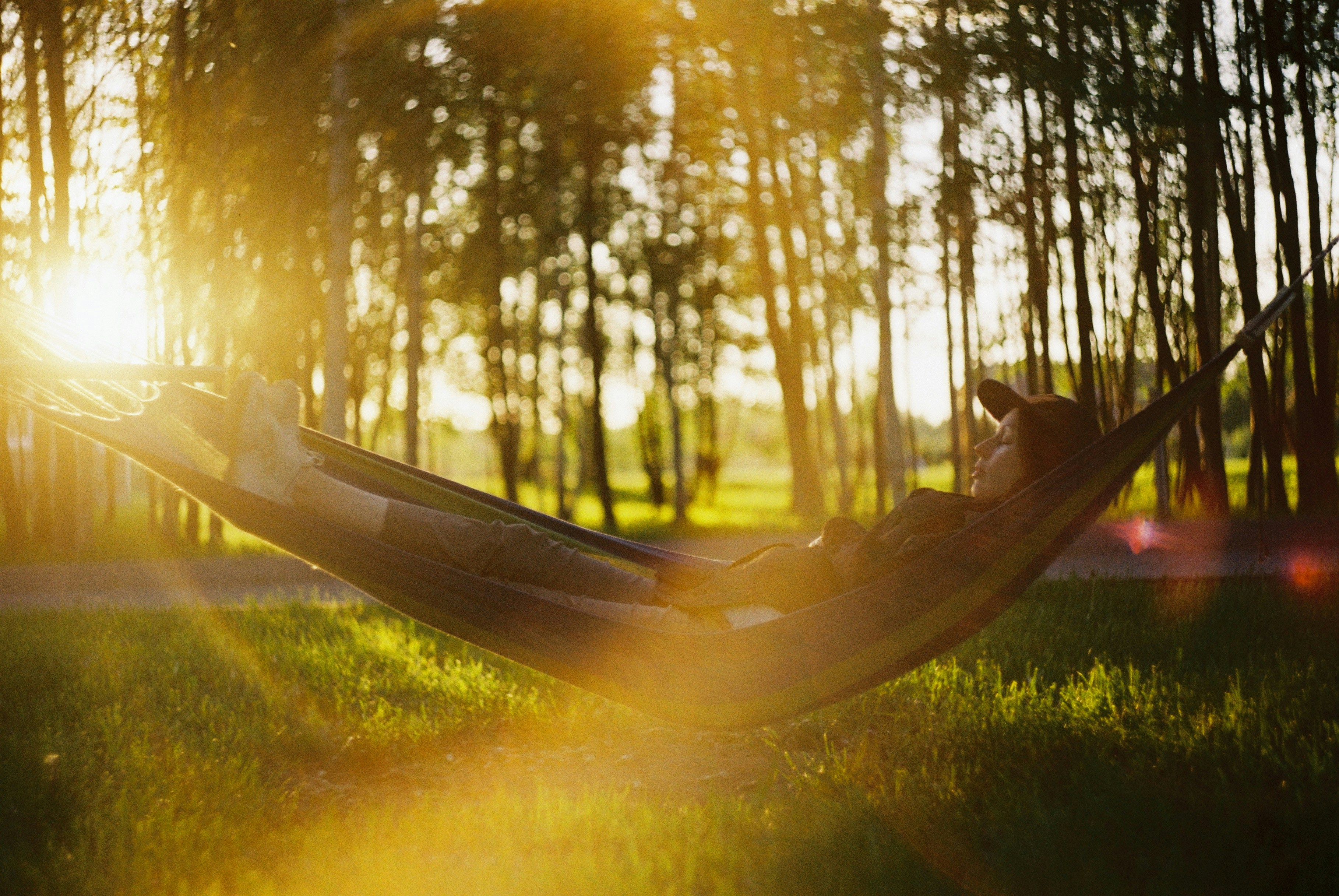 Campo de hierba verde durante el día foto – Imagen de Sol gratuita en ...