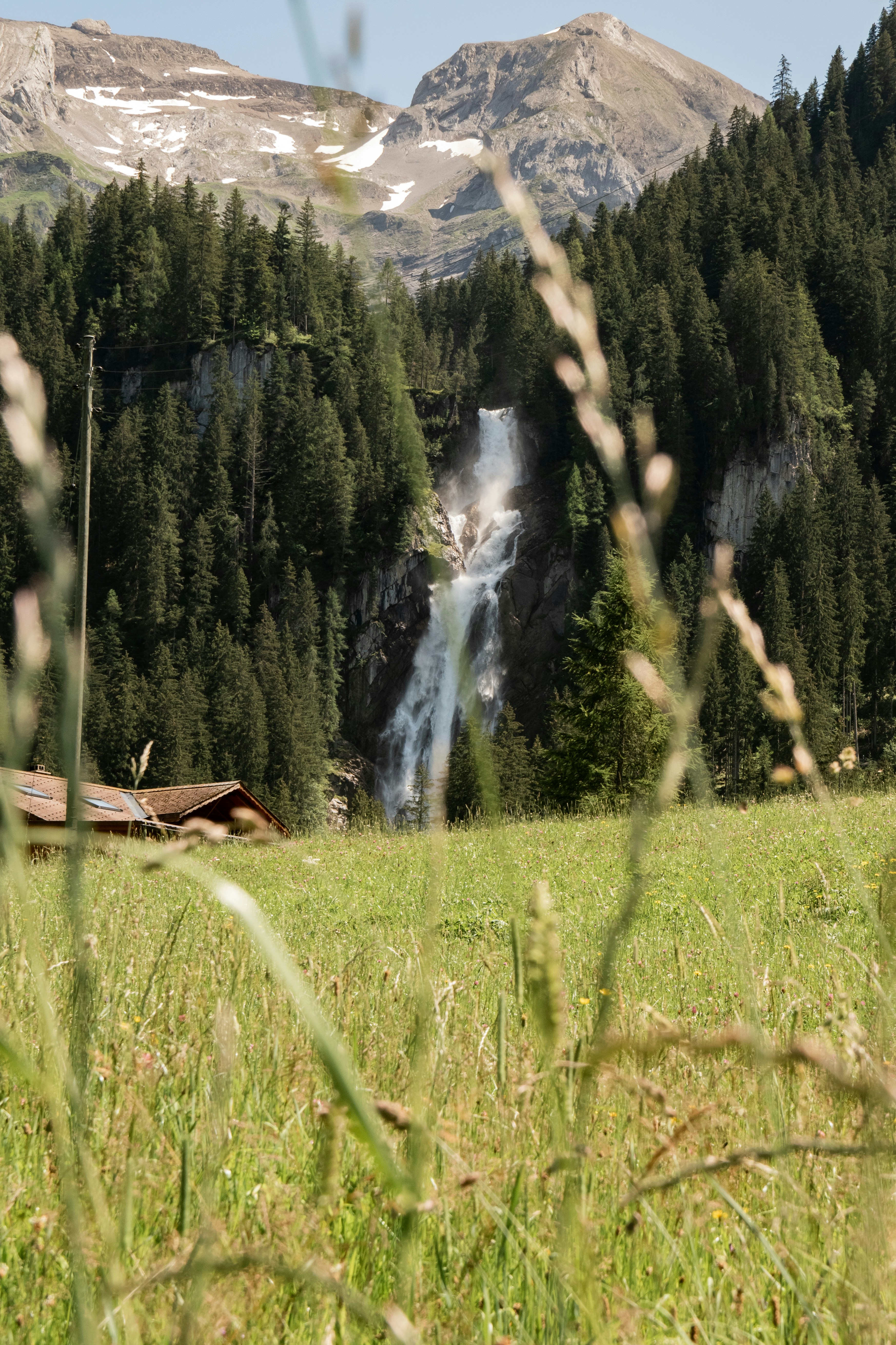 Alpine Cascade Framed by Pines Beneath Snow-Capped Peaks