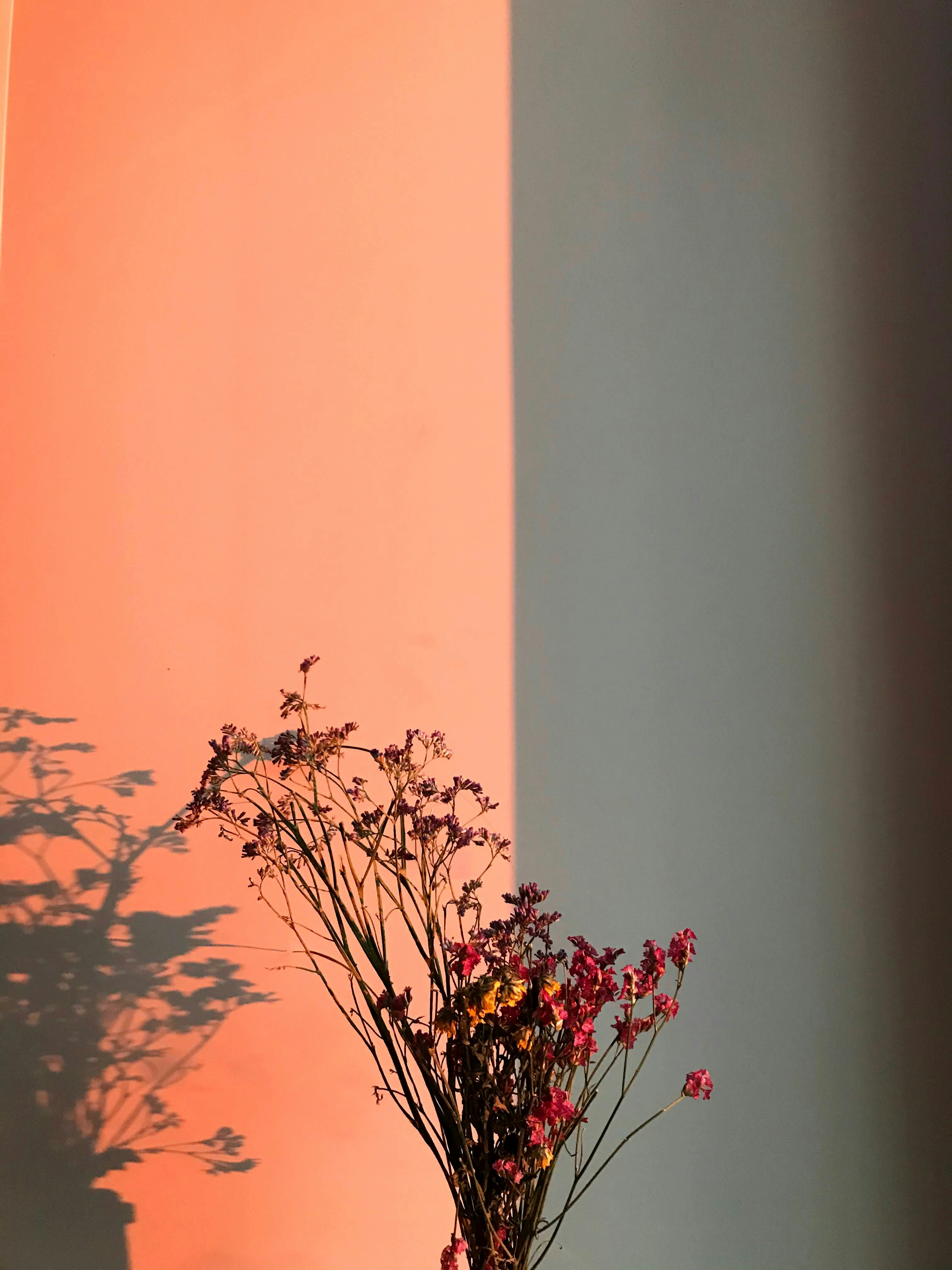 Photo by Stacy Stone with Apple iPhone 7