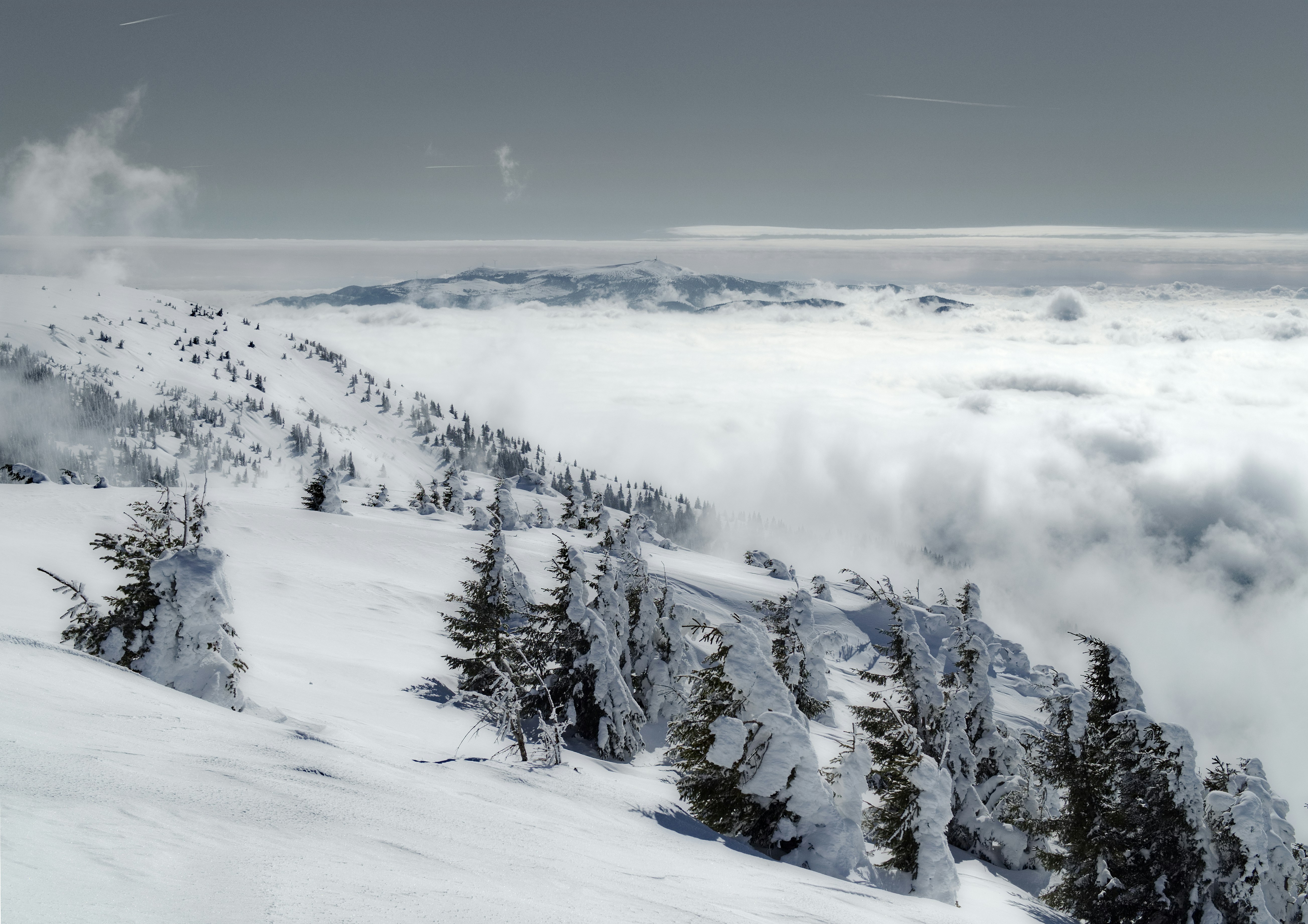 Snow-covered landscape with evergreen trees peeking through a sea of clouds, creating a serene winter vista.