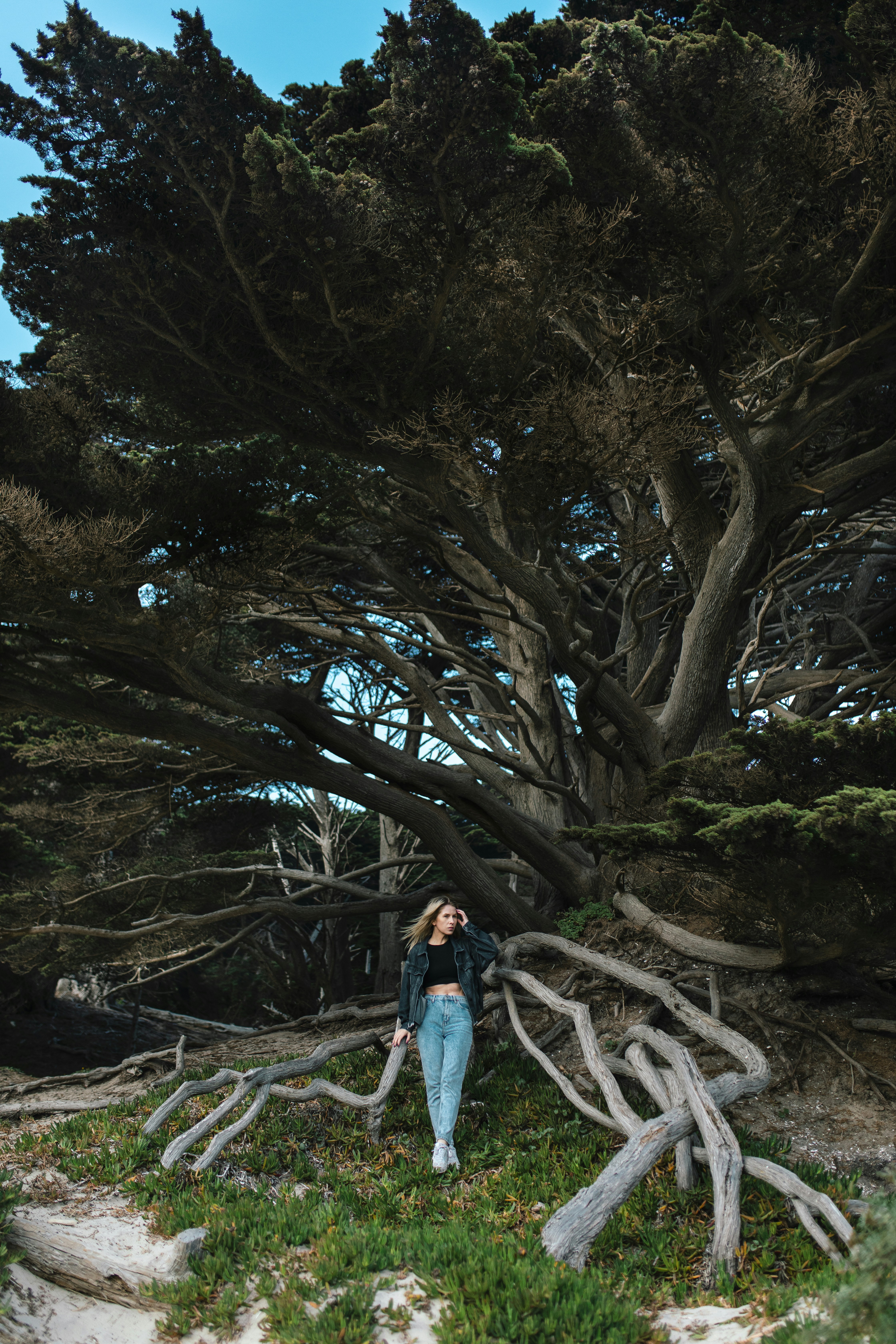 Rootbound Portrait Under a Clockwork Tree