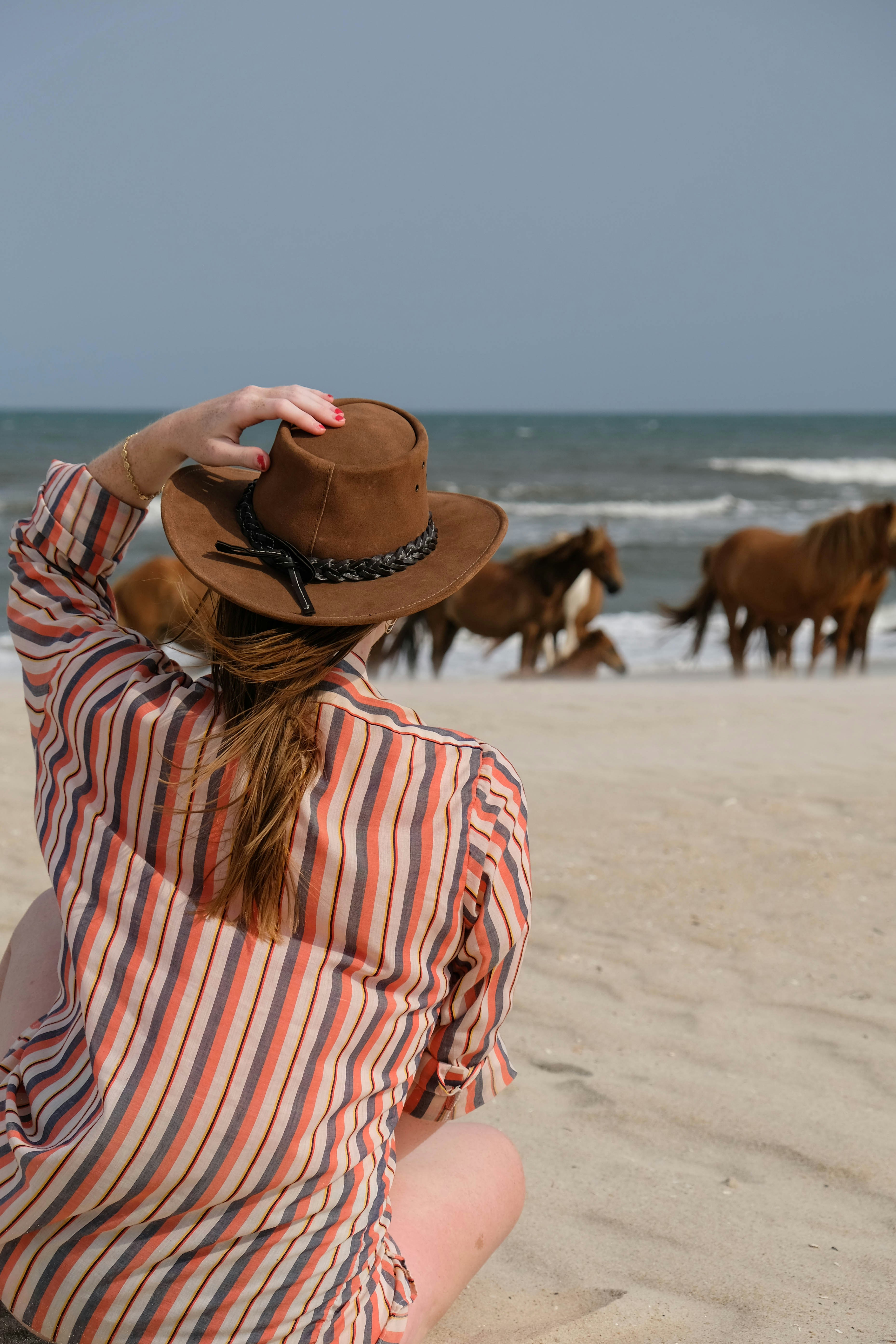 Sand and Stripes: A Beach Moment with a Hat-Wearing Observer and Free-Ranging Horses