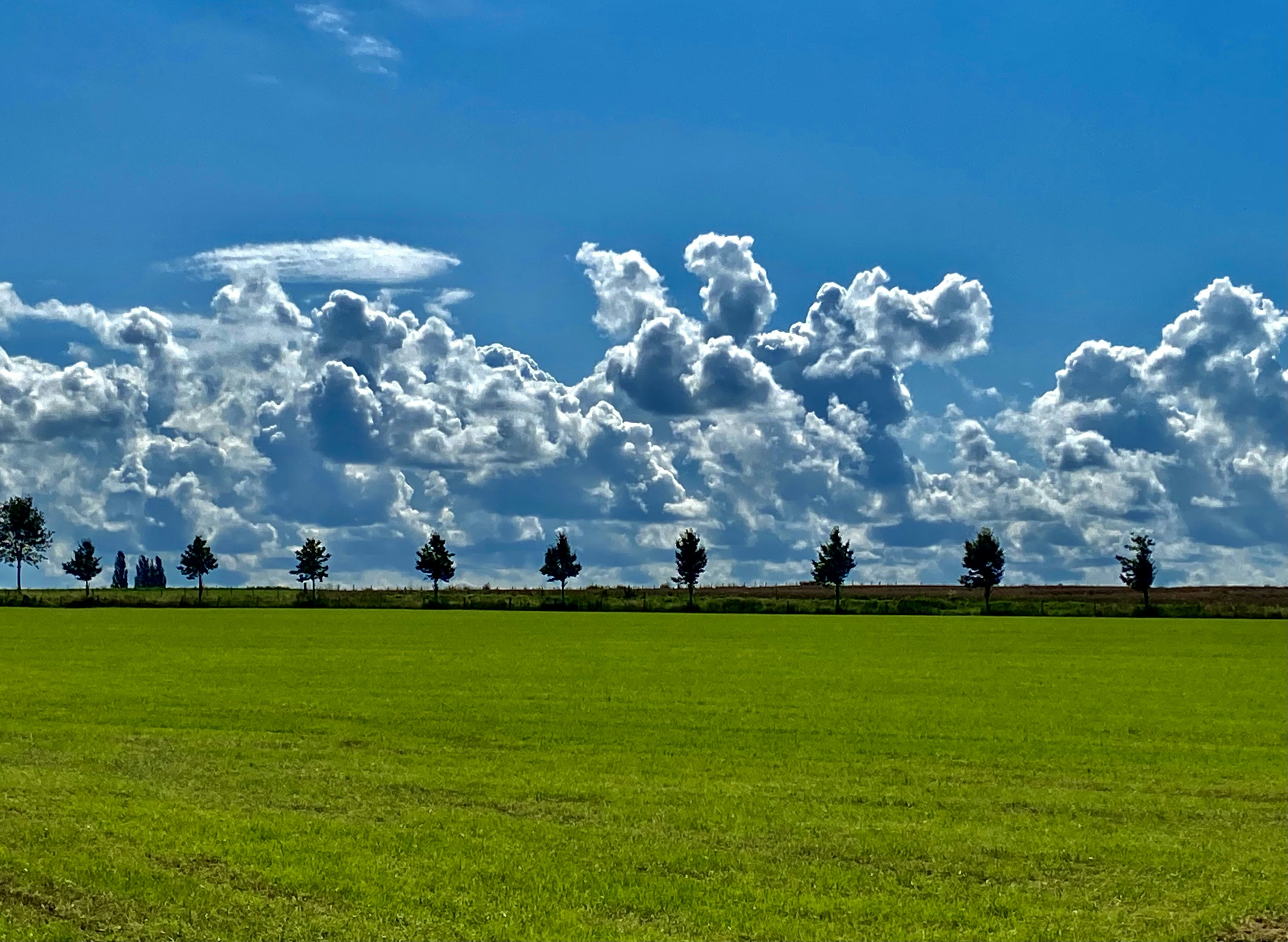 Vibrant green field under a dynamic sky filled with fluffy clouds, framed by silhouetted trees along the horizon.