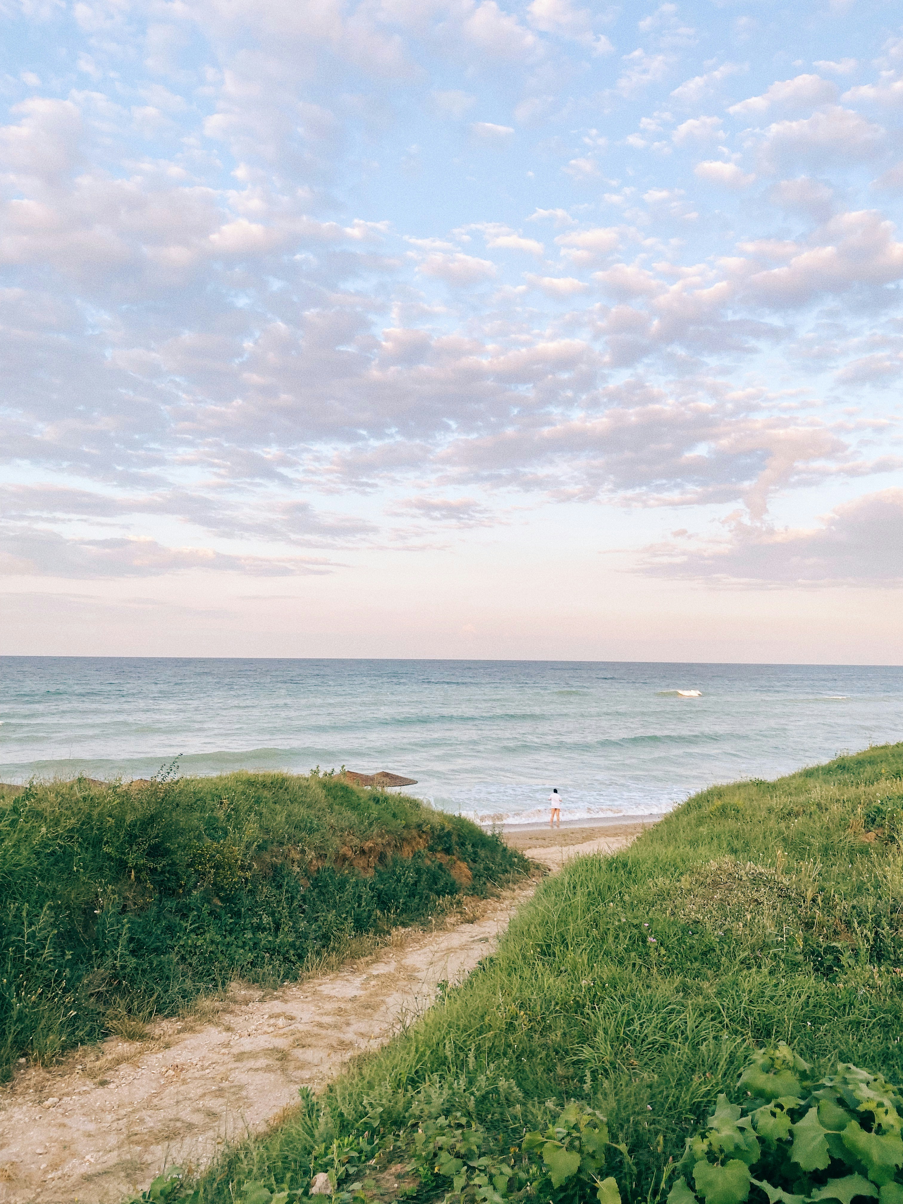 Green grass field near sea under white clouds during daytime photo ...