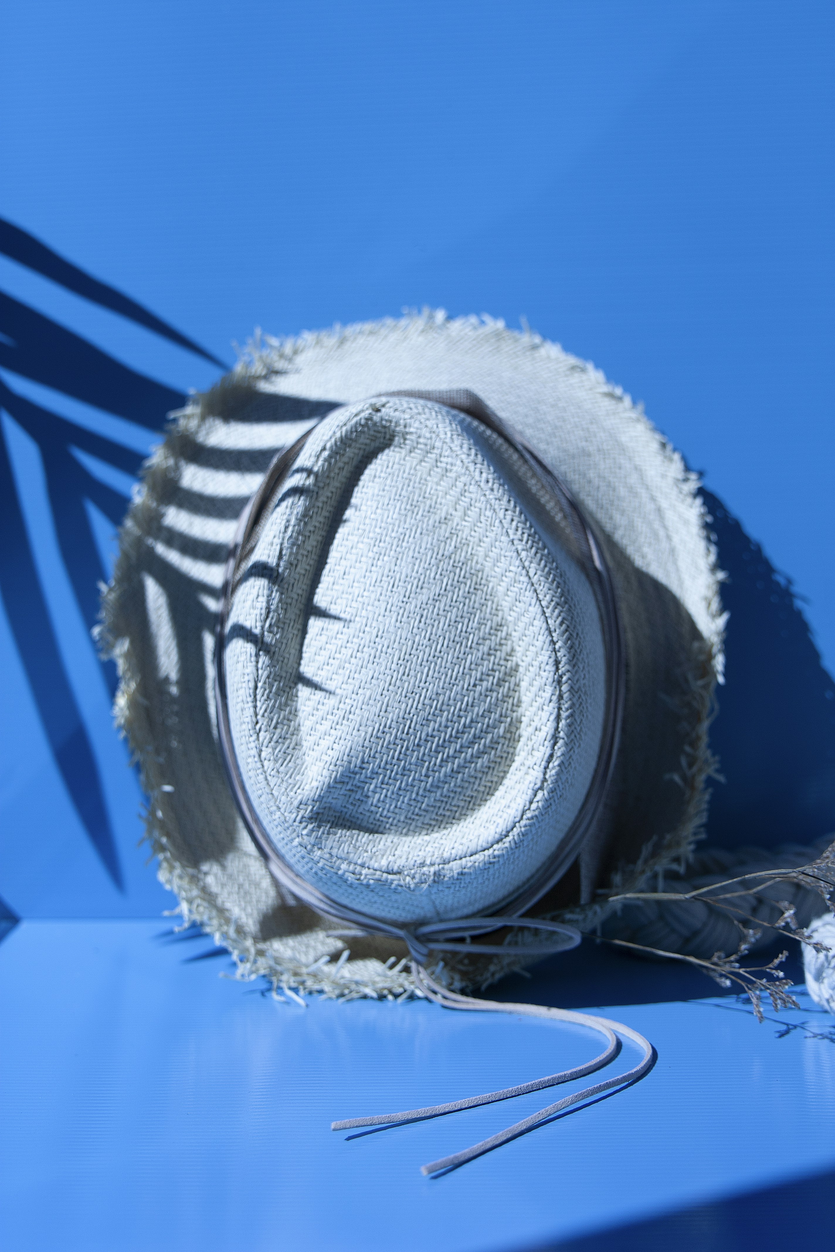 Sunlit Fedora: A Straw Hat and Shadow play on a Blue Studio