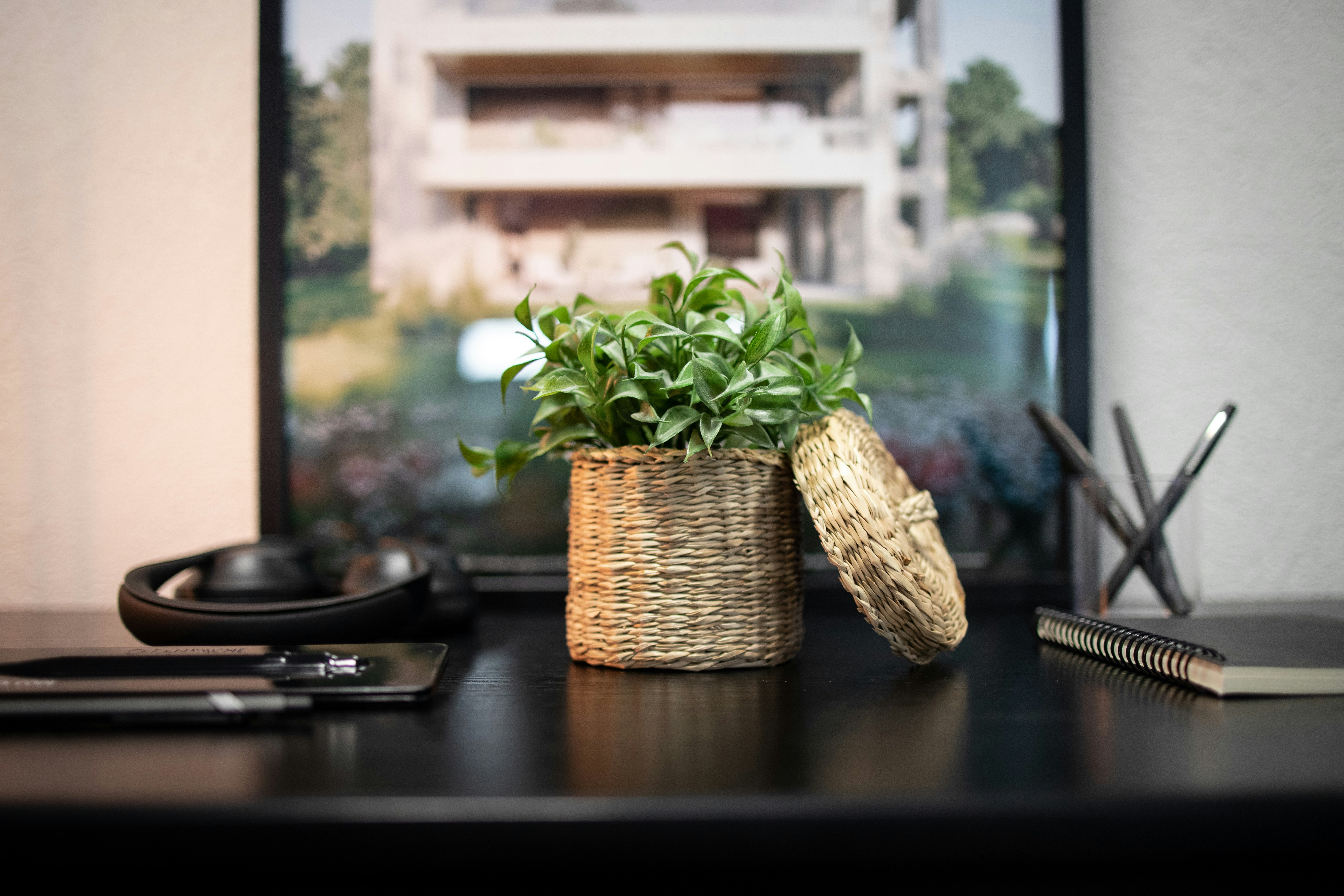 Verdant Centerpiece: A Woven Plant Pot on a Quiet Desk