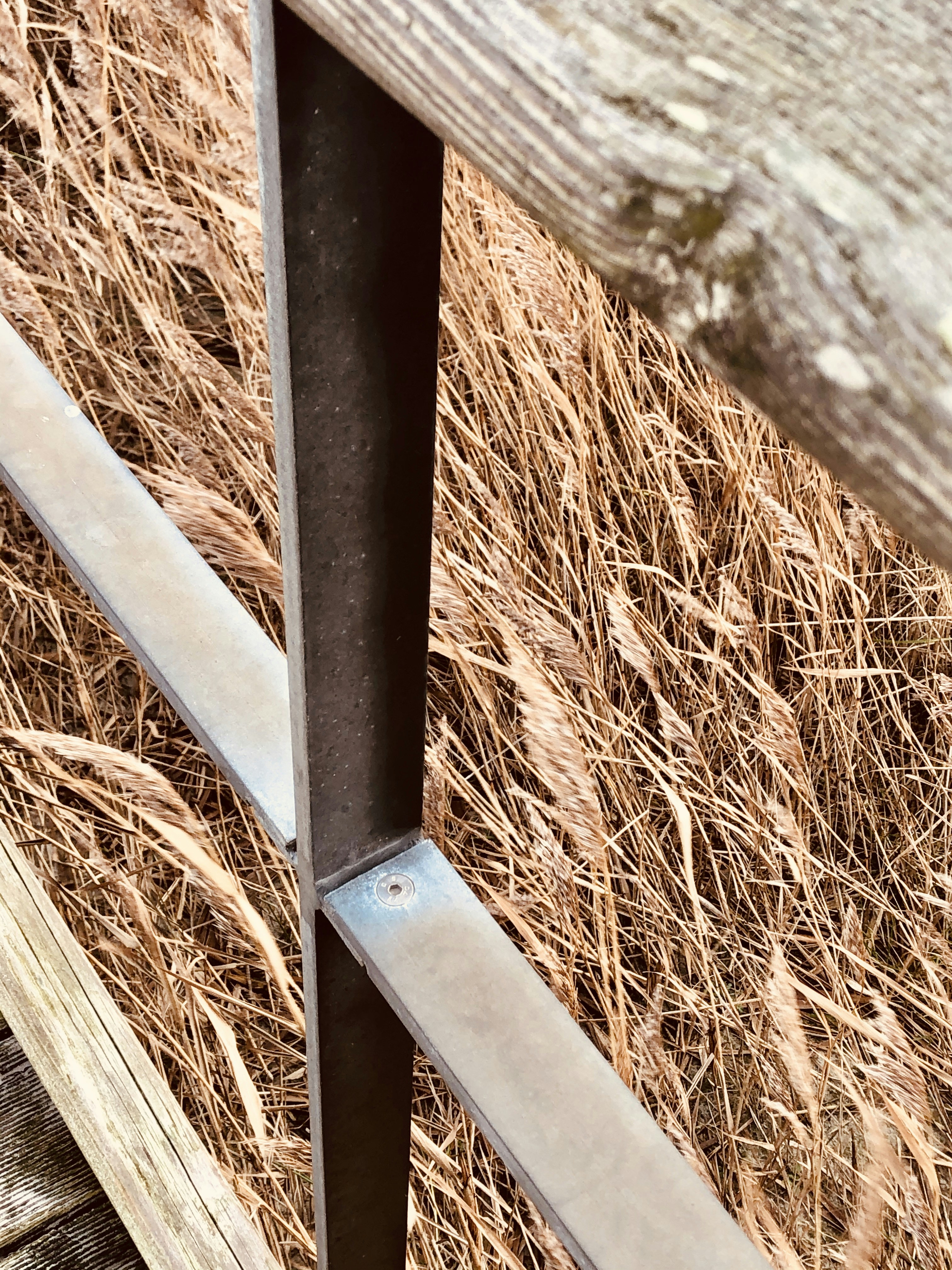 black metal bar near brown dried grass