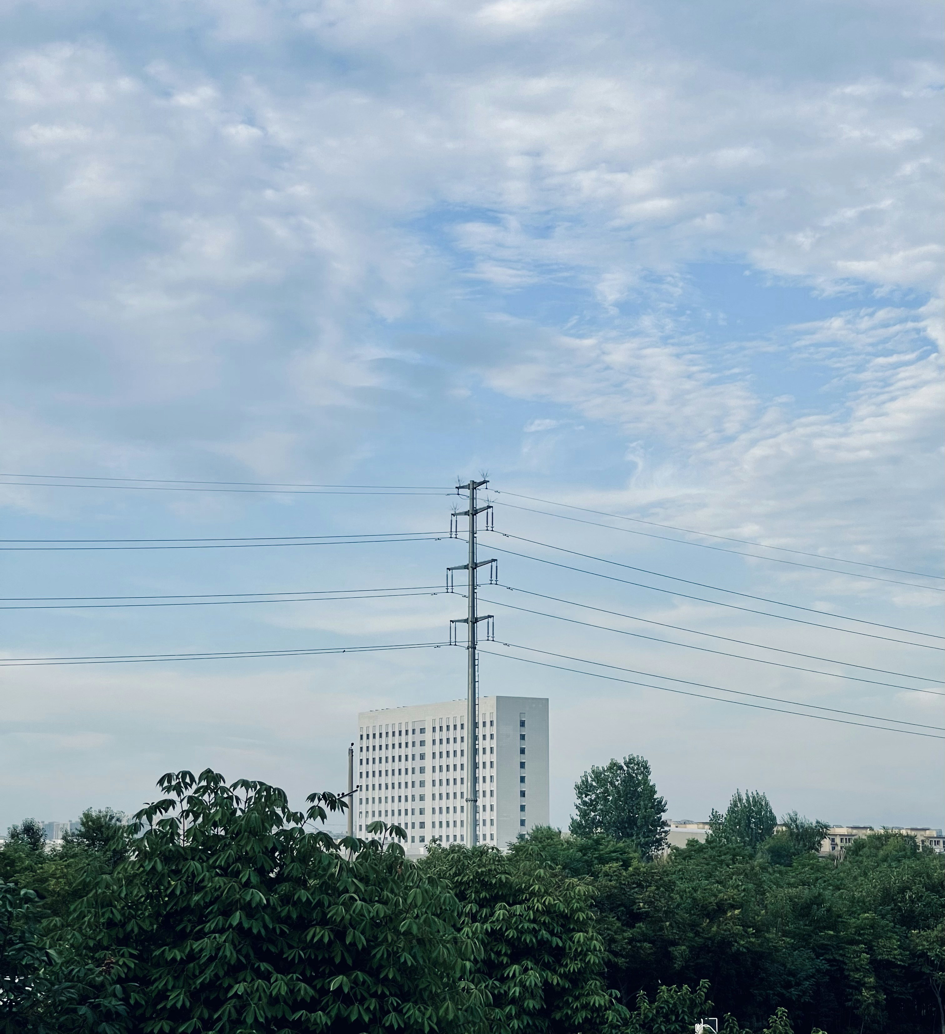 White High-Rise Emerges Behind a Dense Green Canopy Under a Cloud-Swept Sky