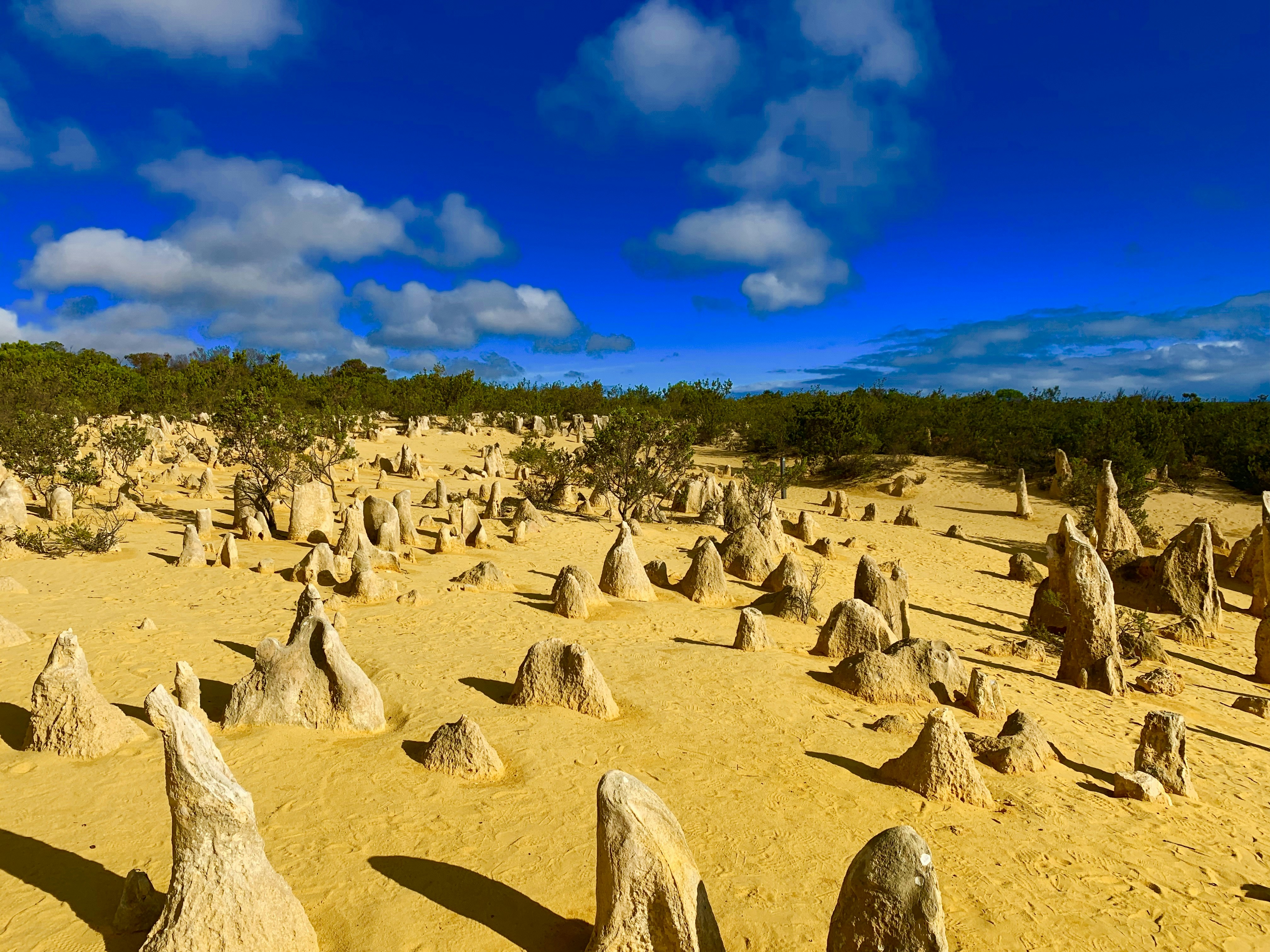 Unique limestone formations rise from the sandy landscape under a vibrant sky, showcasing the natural beauty of the Pinnacles Desert.