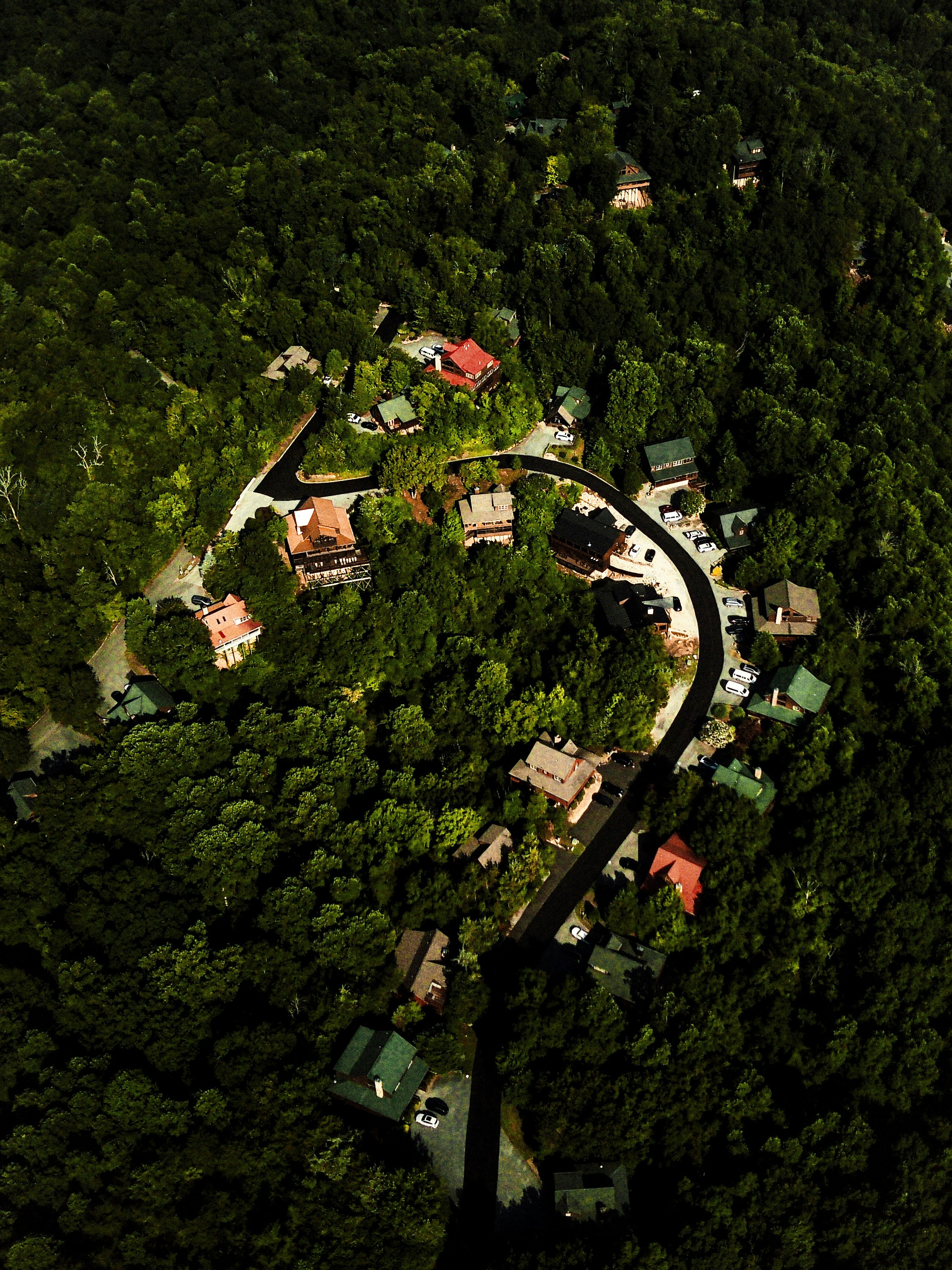 Aerial view of a winding road through a lush forest, revealing a cluster of secluded homes nestled among the trees.