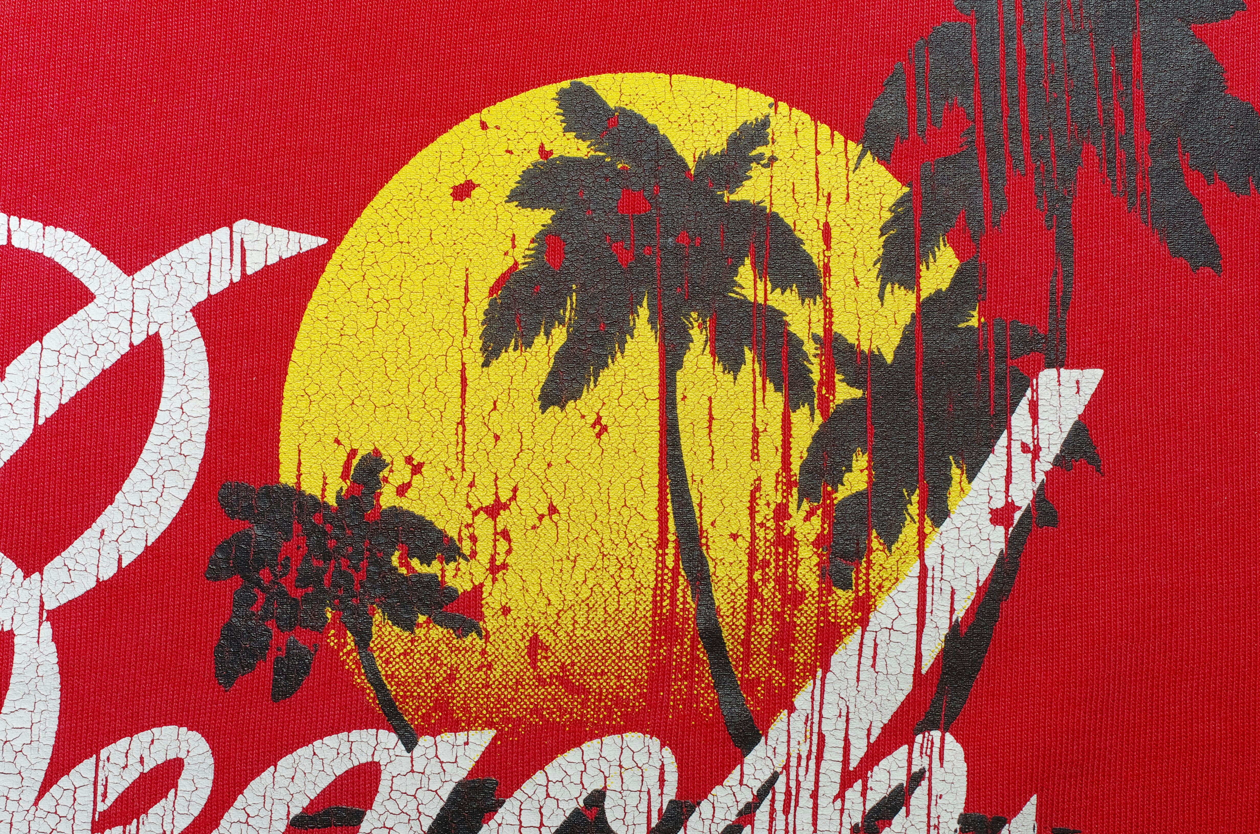 Crimson Canvas: Palm Silhouettes Framing a Weathered Sun