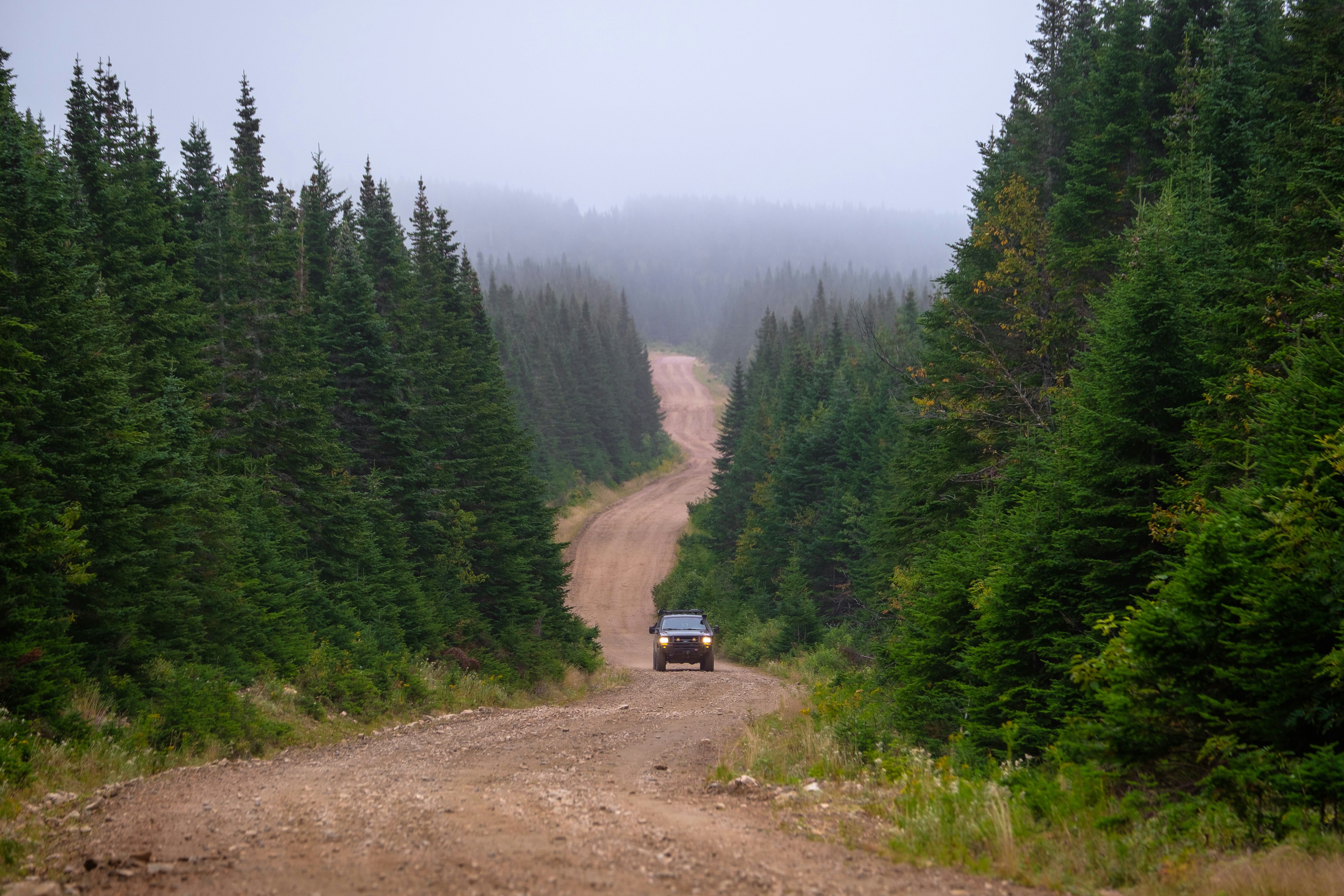 A vehicle navigates a winding dirt road flanked by dense evergreen trees in a foggy landscape. The scene captures the essence of adventure and exploration.