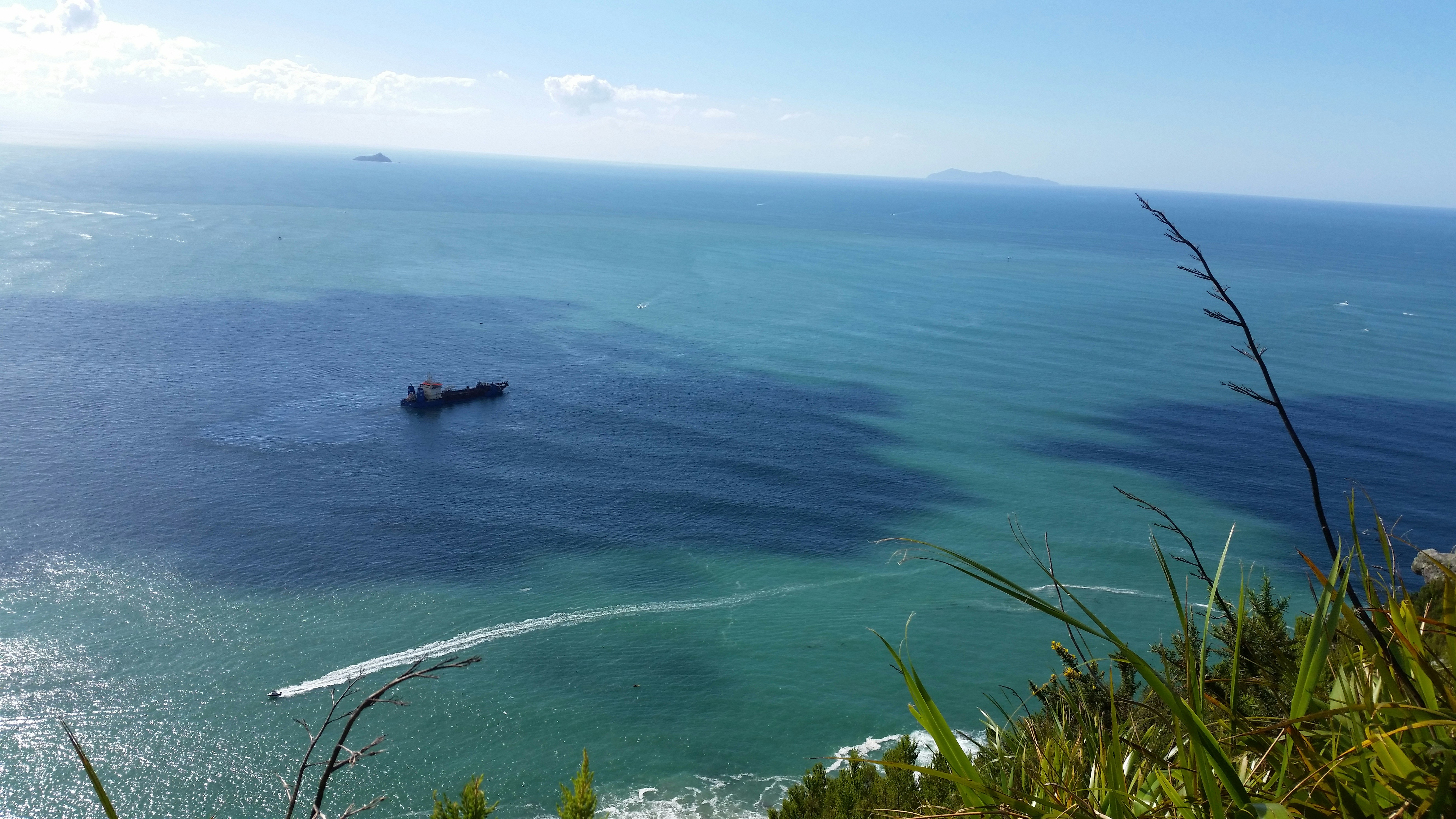 Peter Fraser (@pjf_888) | Unsplash Photo Community