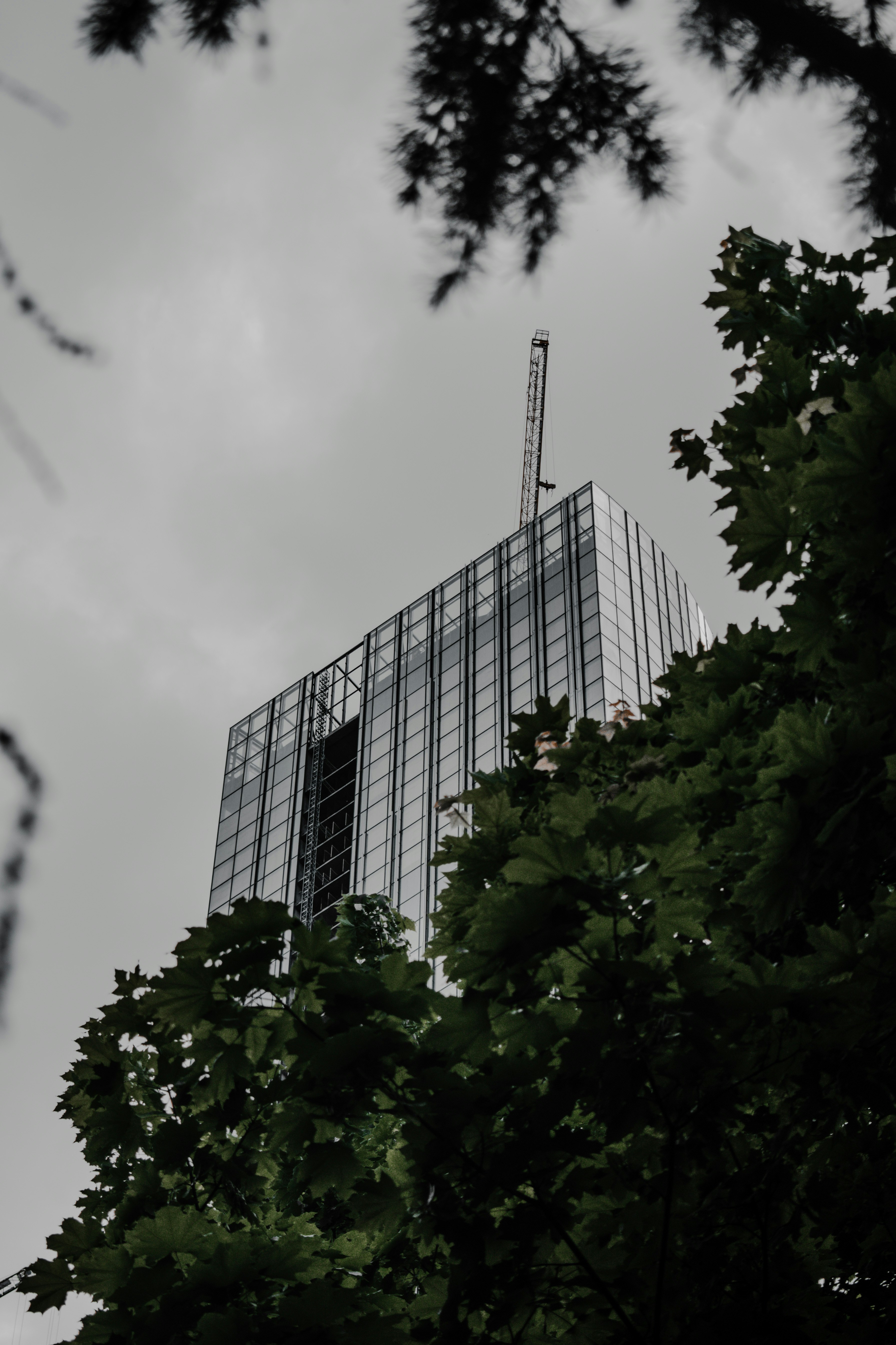 Green trees near white building photo – Free Building Image on Unsplash