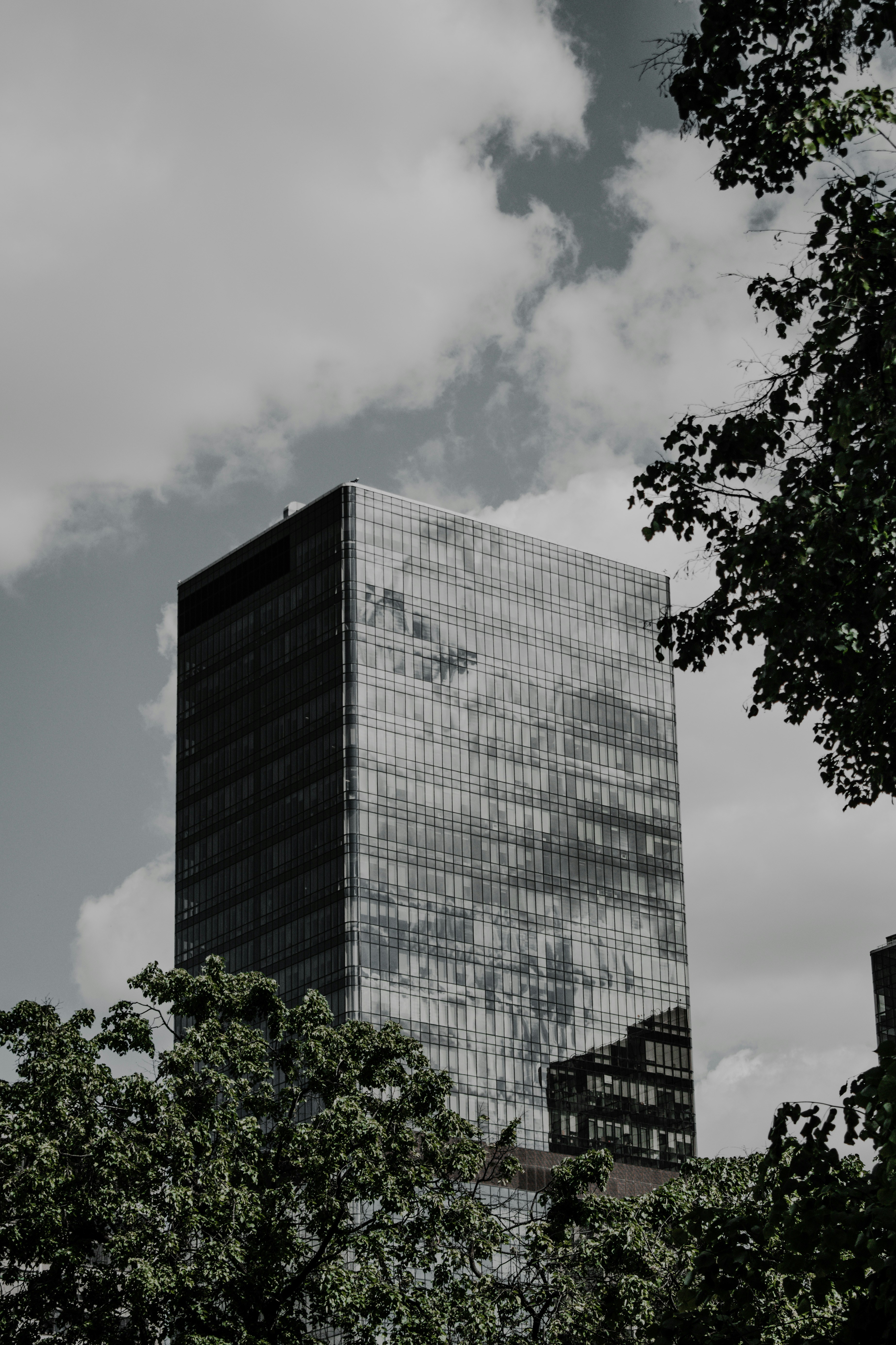 Monochrome Glass Tower Framed by Urban Foliage