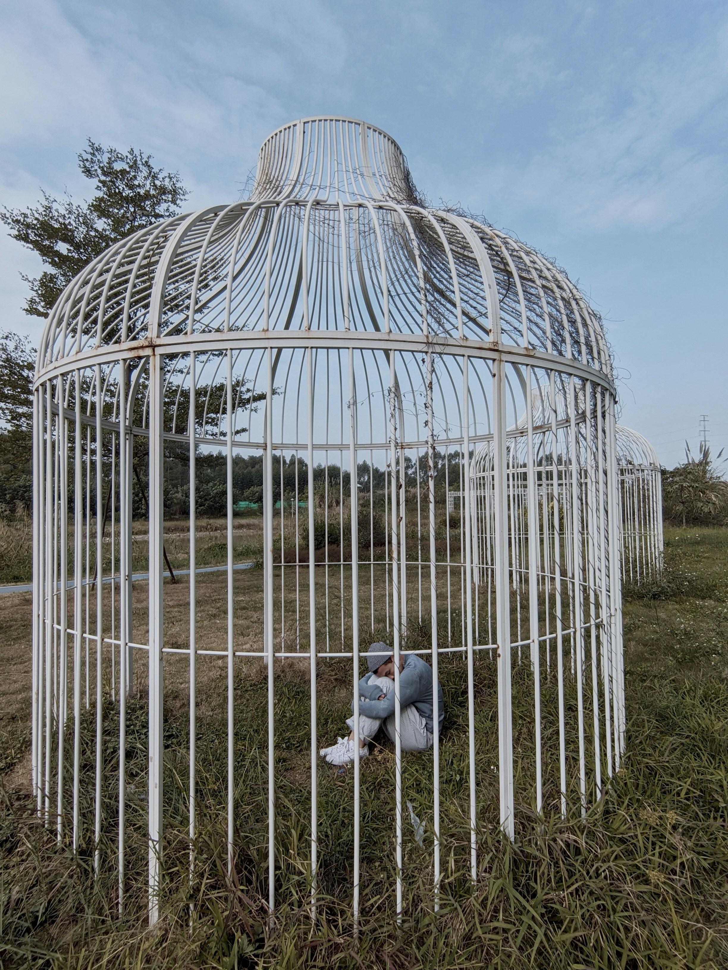 white bird in white metal cage