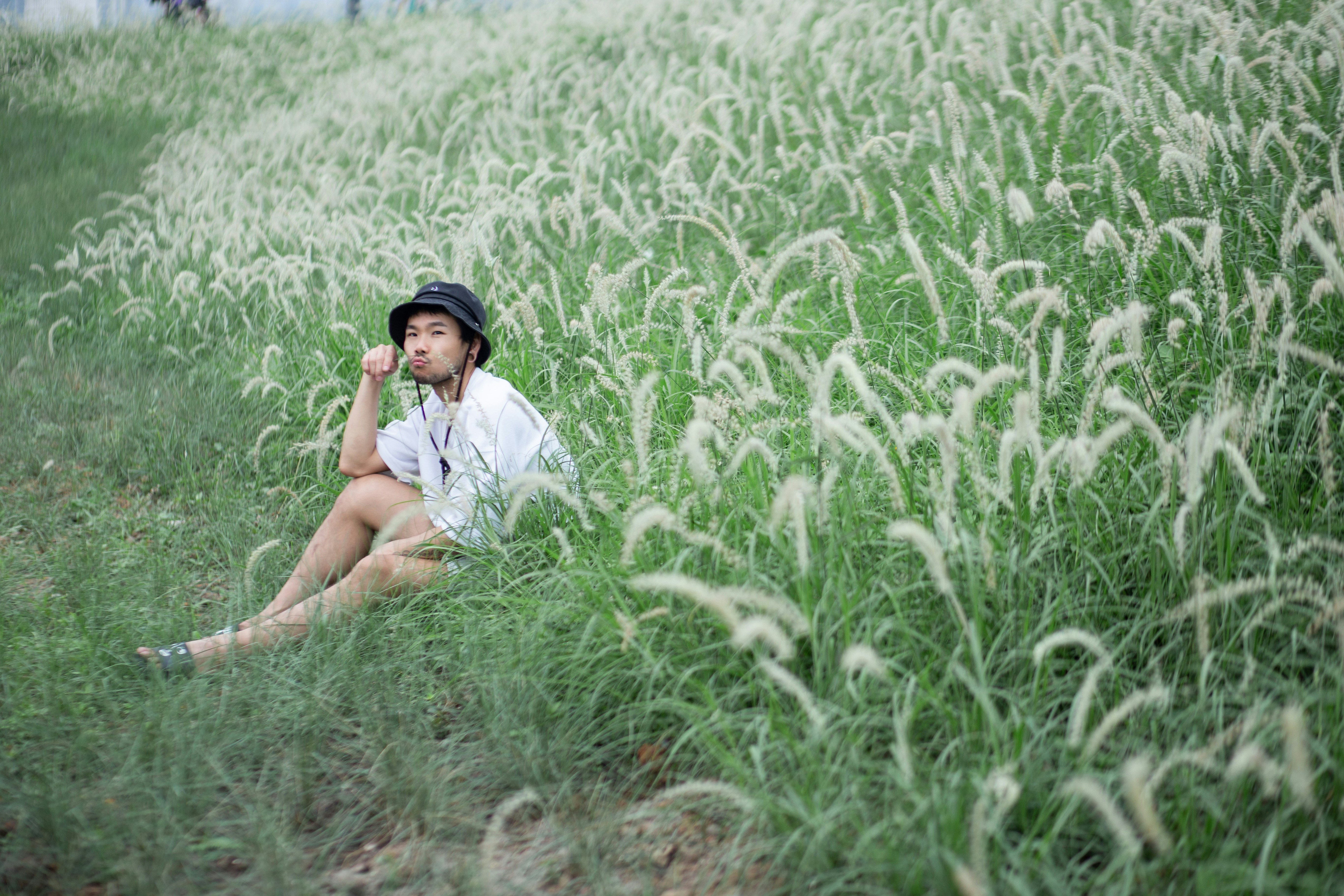 Quiet Pause in a Sea of Reeds