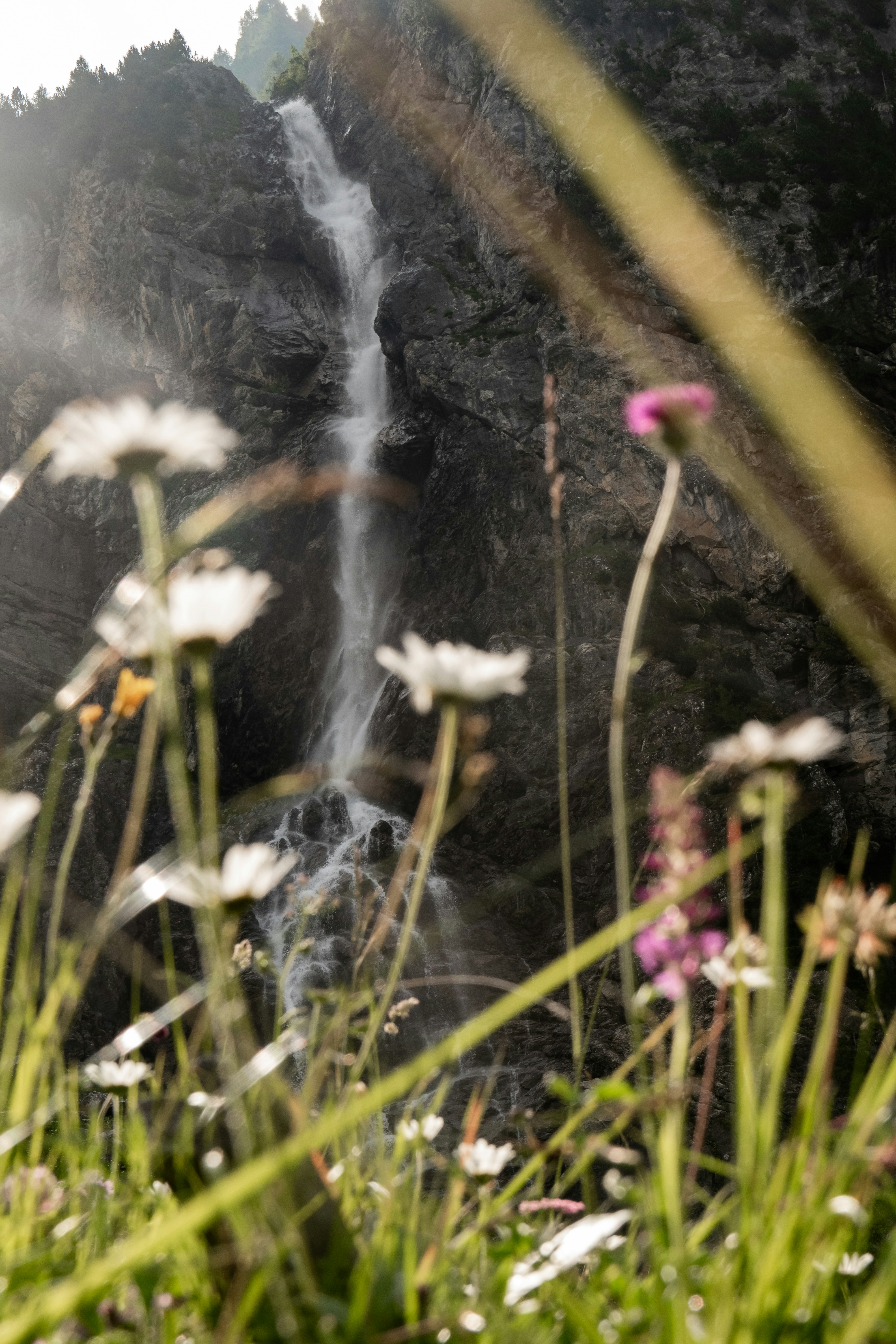 Hidden Cascade Among Wildflowers
