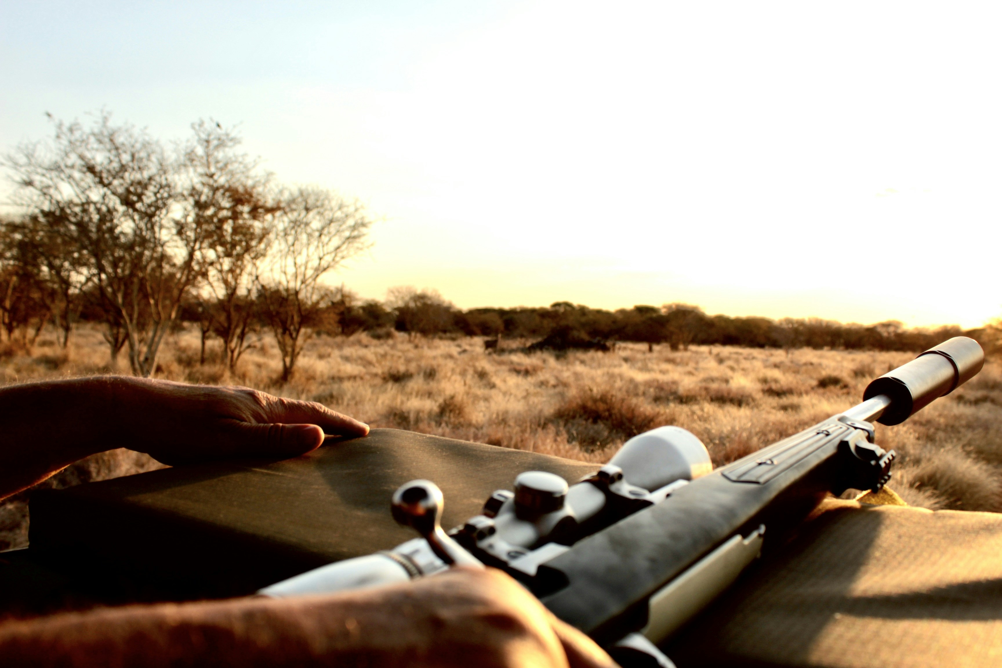 Person holding a rifle, overlooking a sunlit savannah landscape.