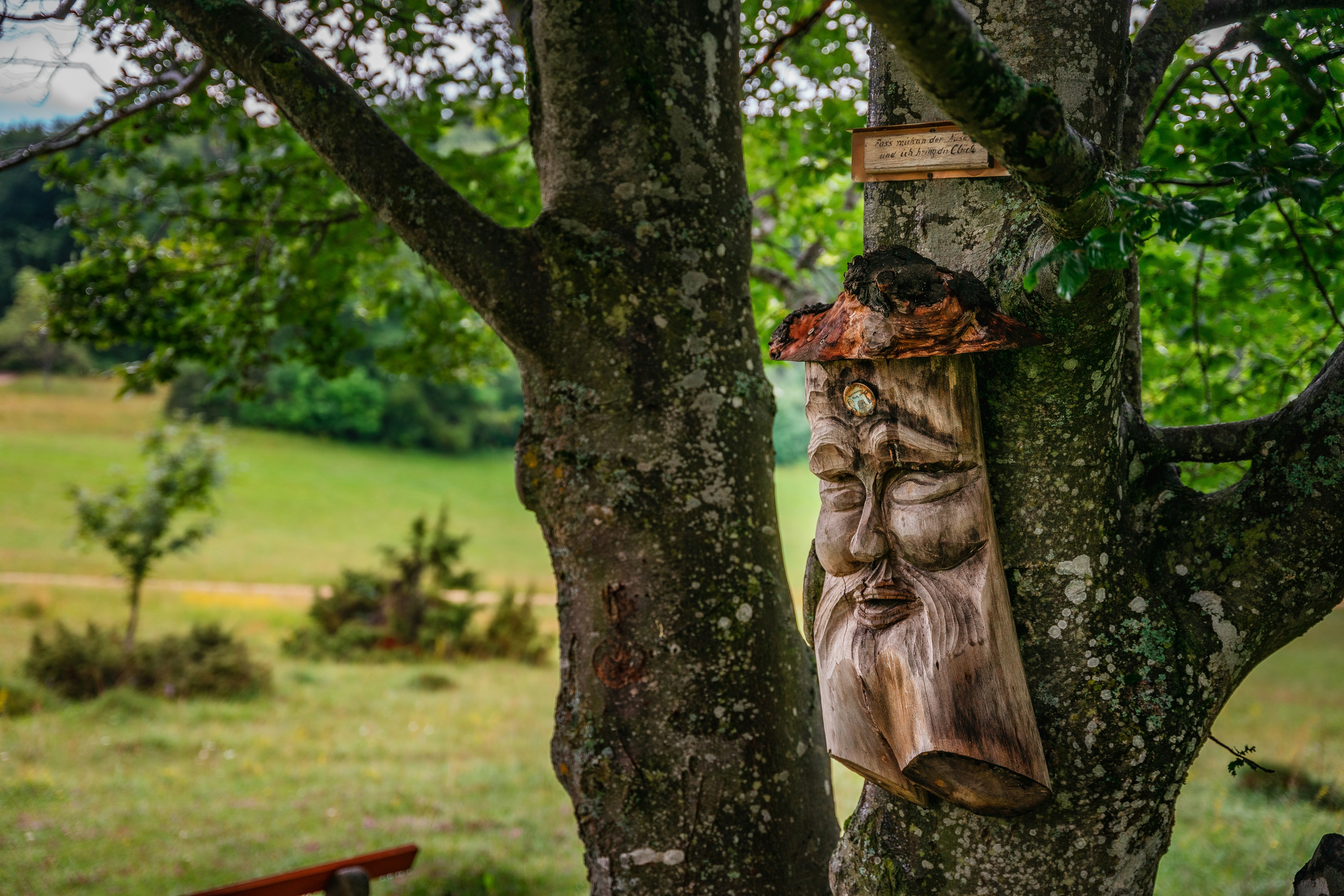 The Laughing Tree Guardian