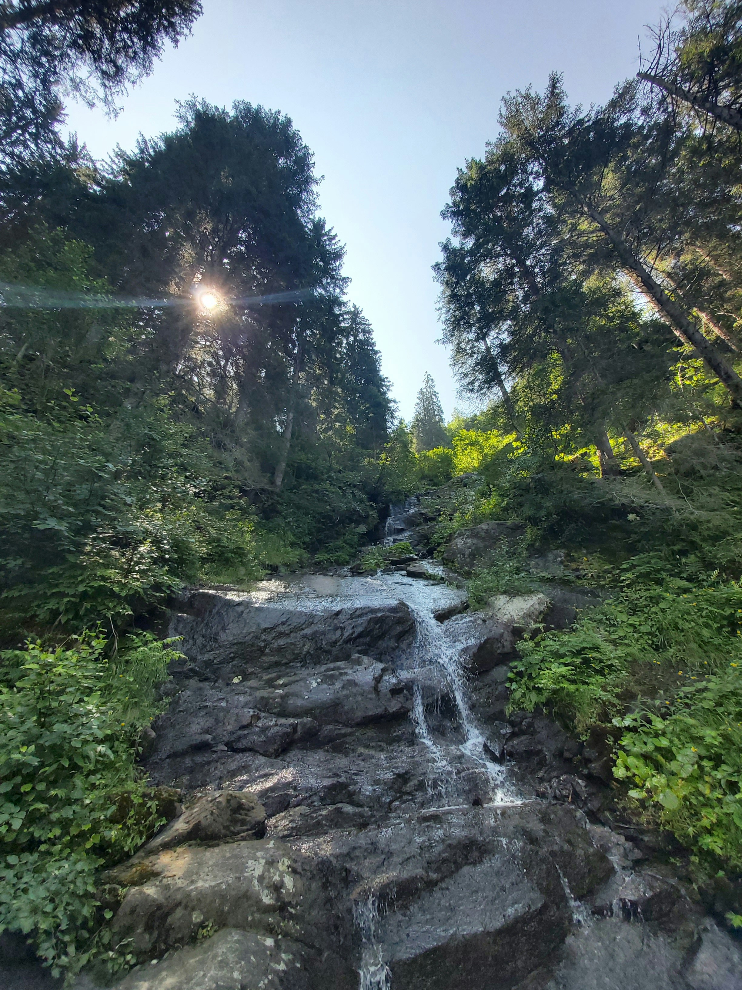Waterfalls between green trees under blue sky during daytime photo ...