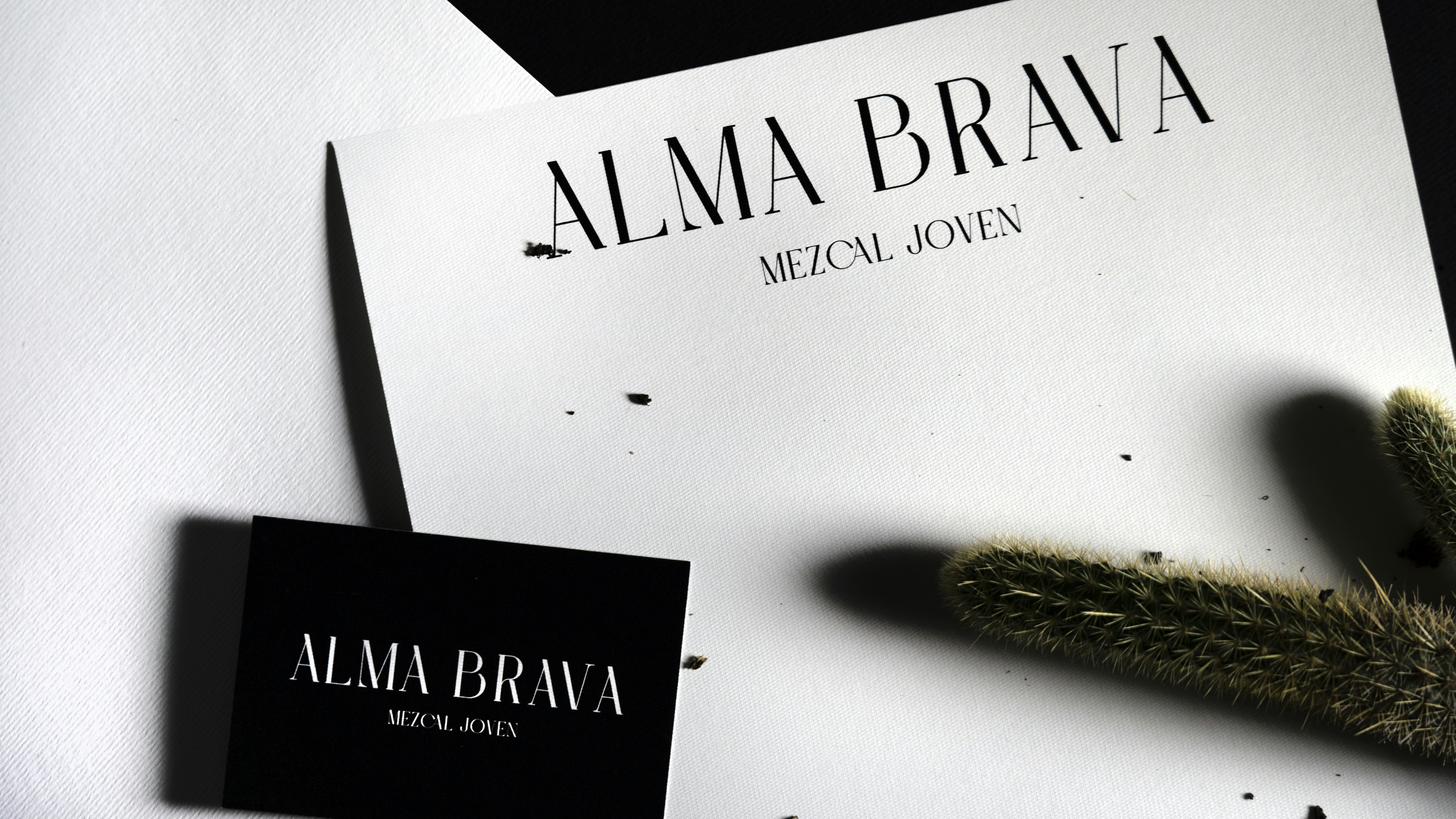 Geometry: Circles and Pythagorean Theorem