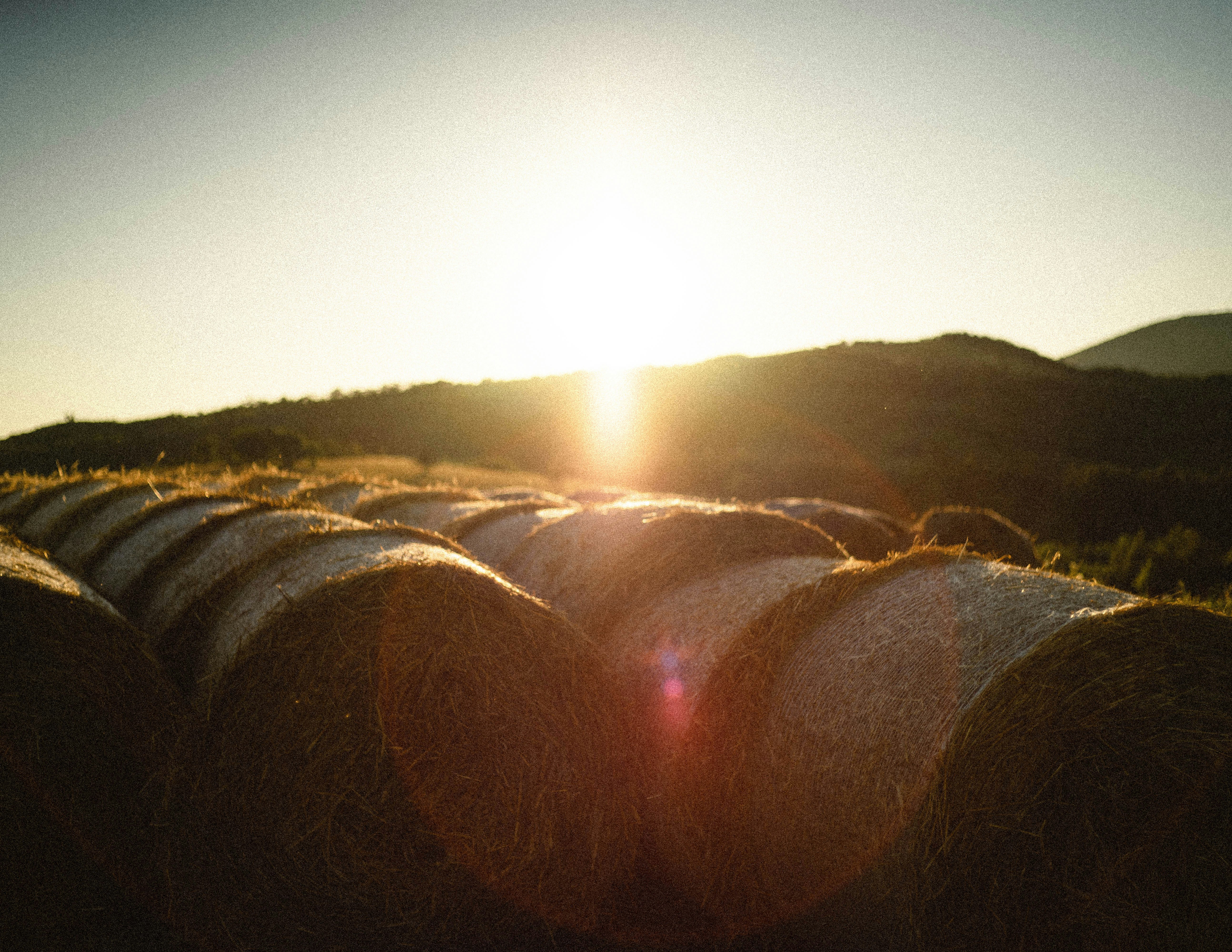 Golden Hour Rows: Hay Bales Rest Along a Quiet Sunset Field