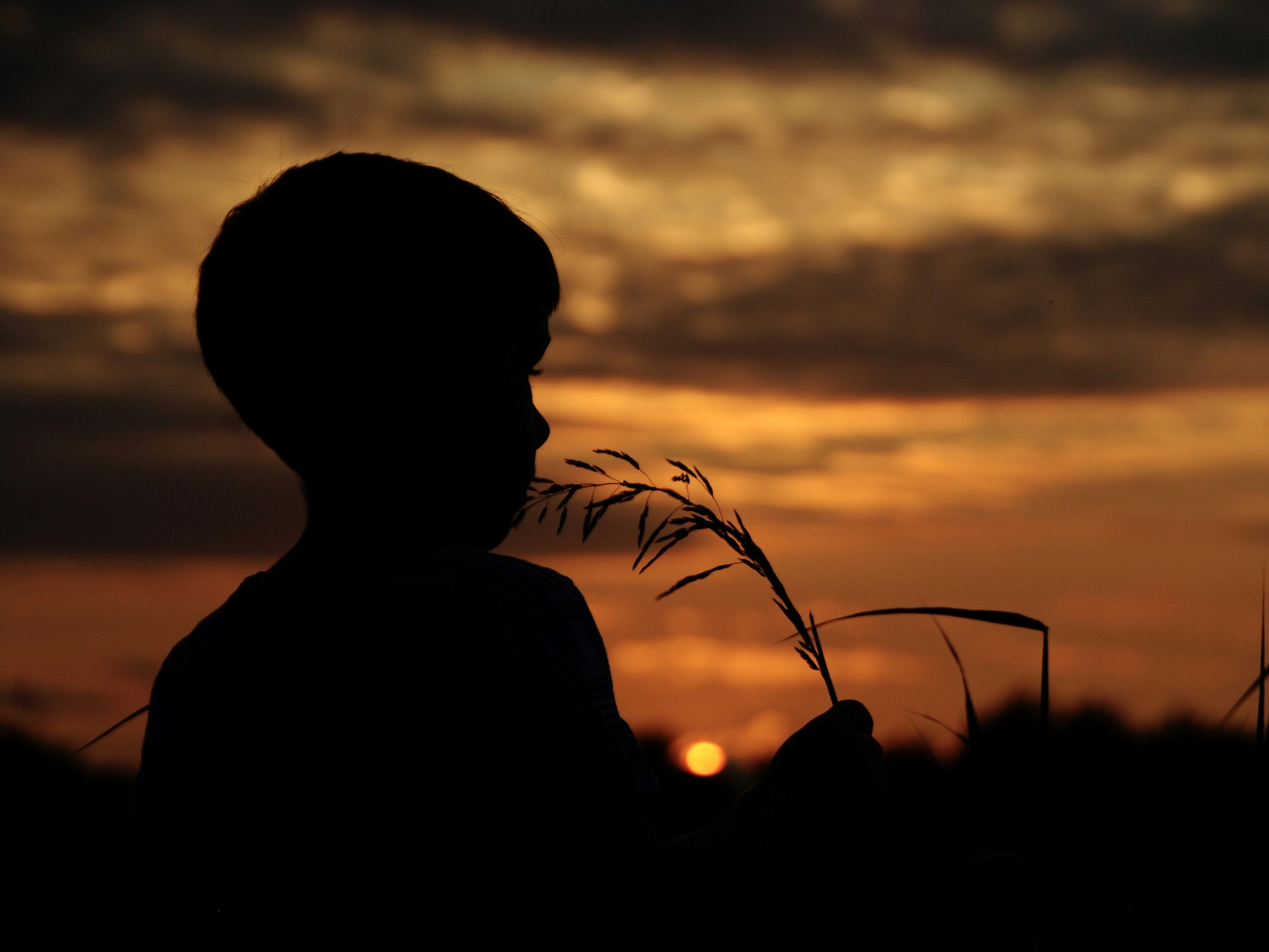 Silhouette of a child holding a blade of grass against a vibrant sunset sky, evoking a sense of wonder and tranquility.