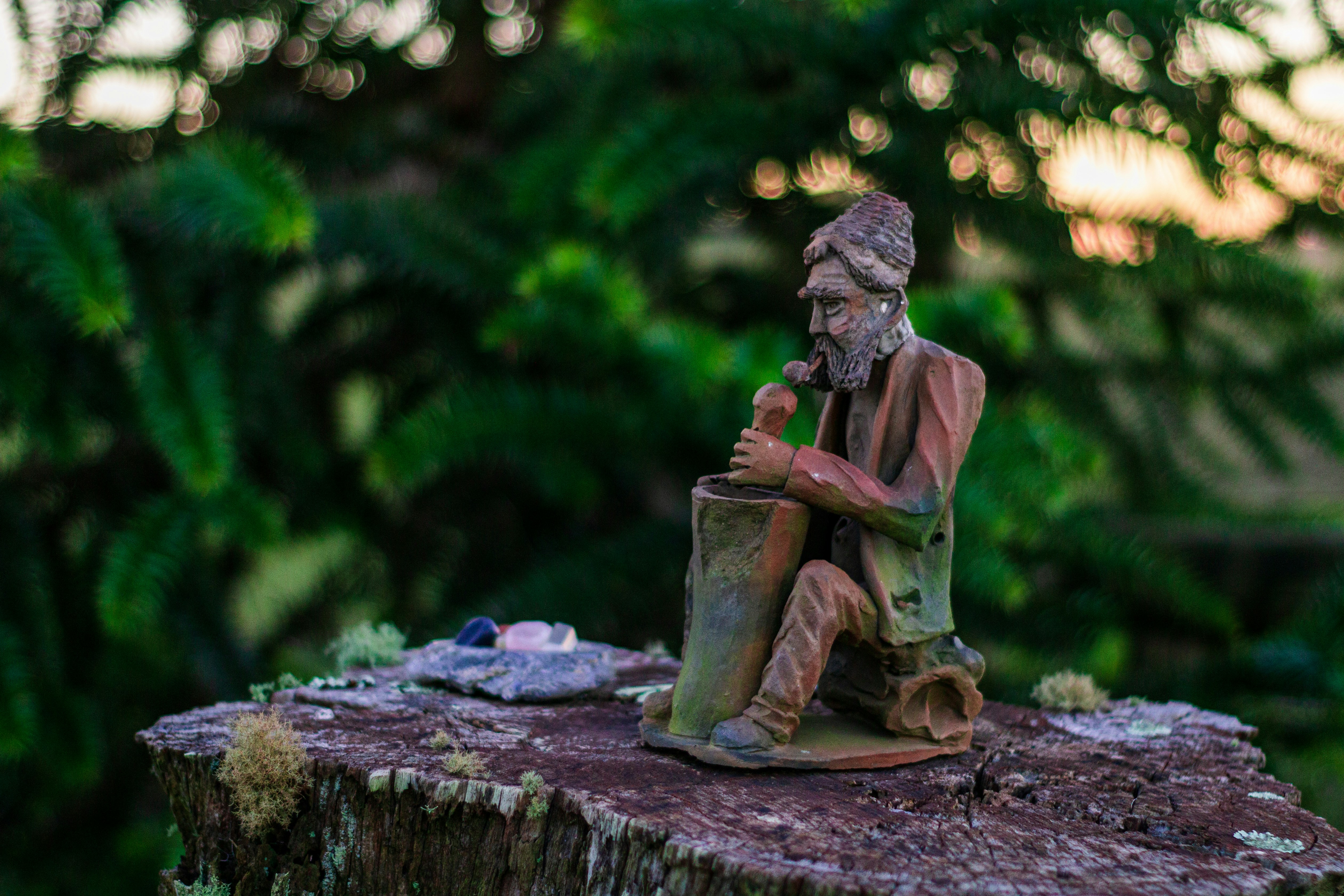 Sitting Sage on a Mossy Stump