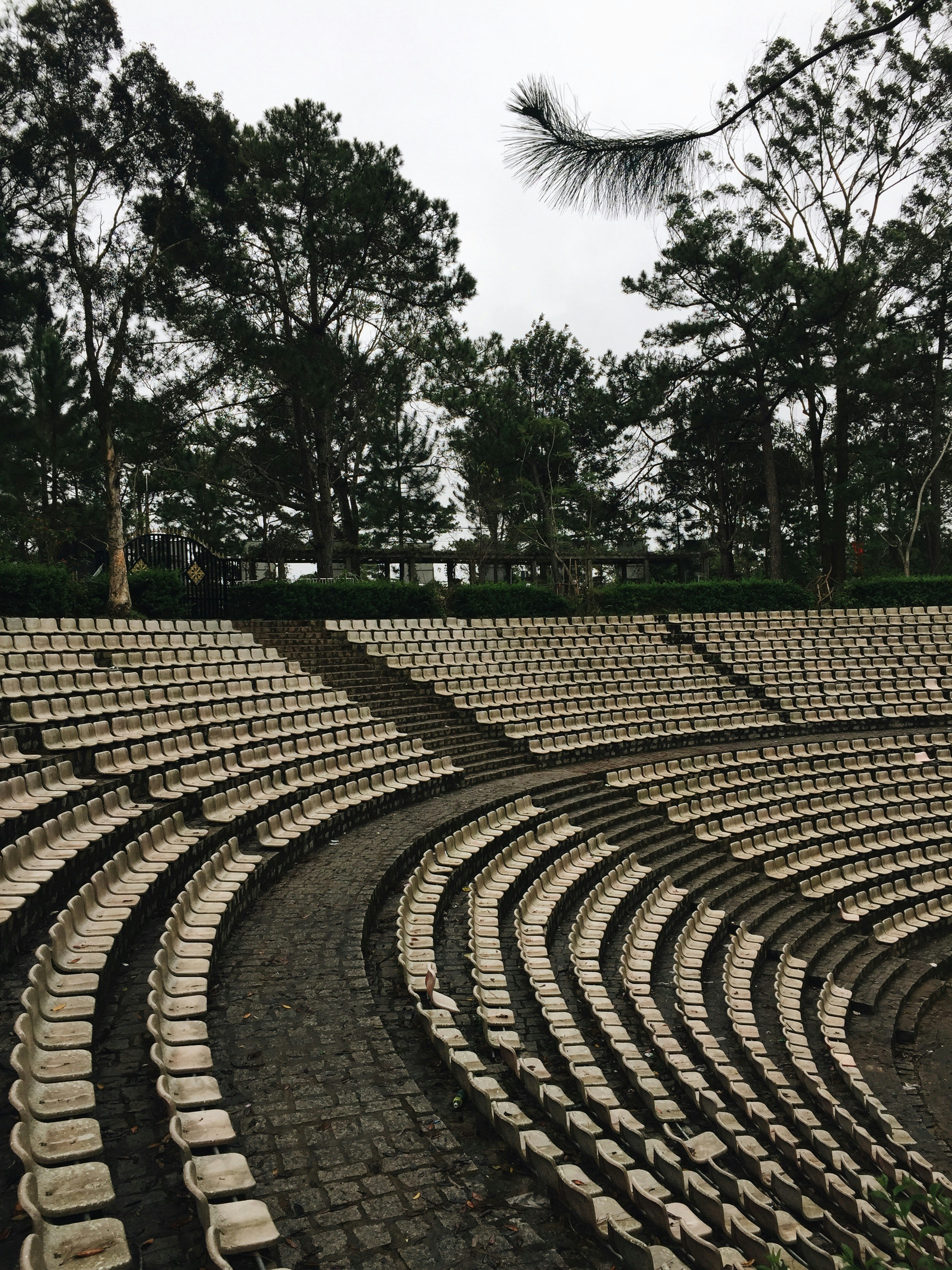 Curved rows of empty seats in an amphitheater surrounded by lush trees, evoking a sense of solitude and nature's embrace.
