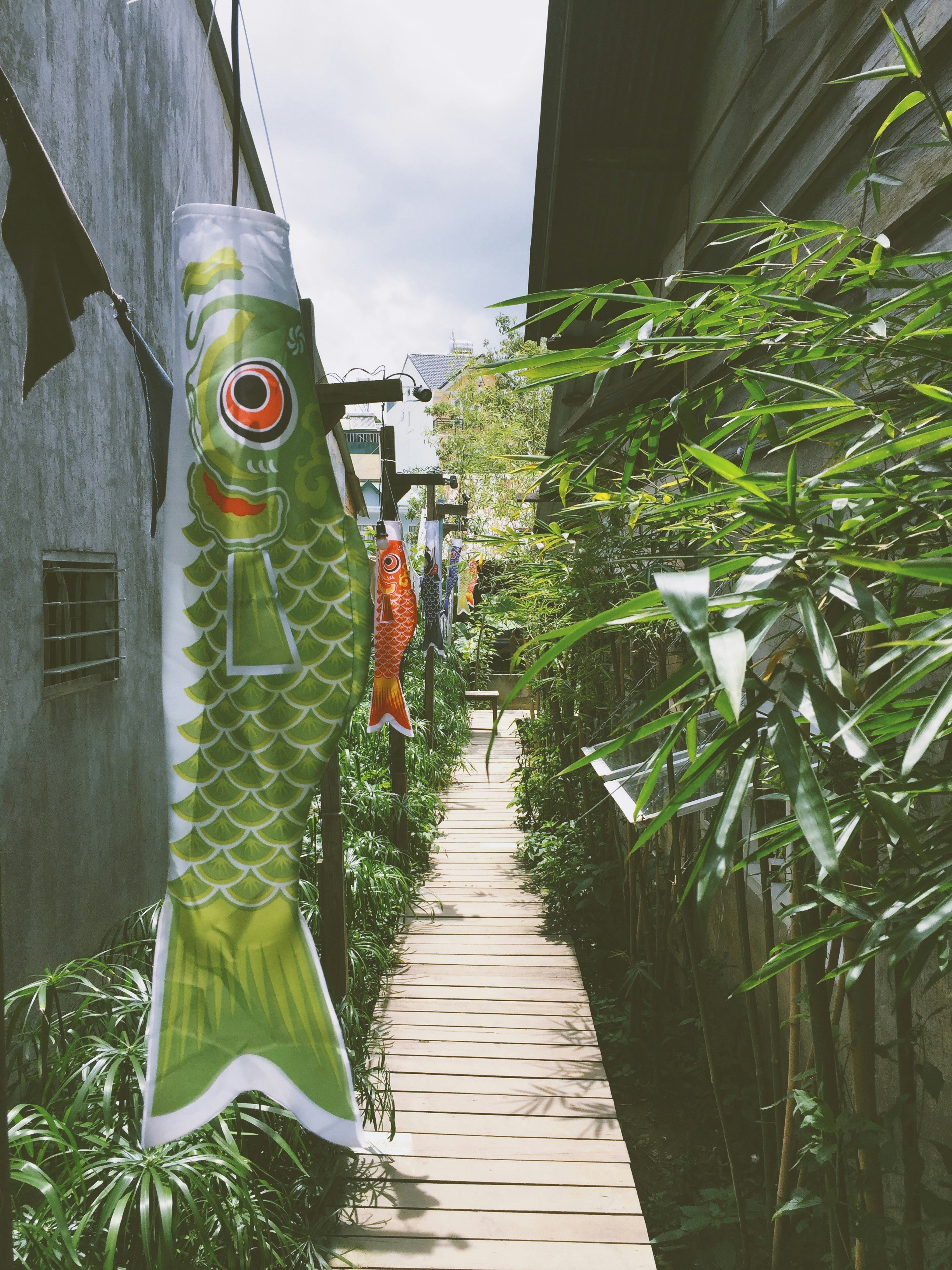 Emerald Koi Windsocks: A Bamboo-Lined Alley of Floating Color
