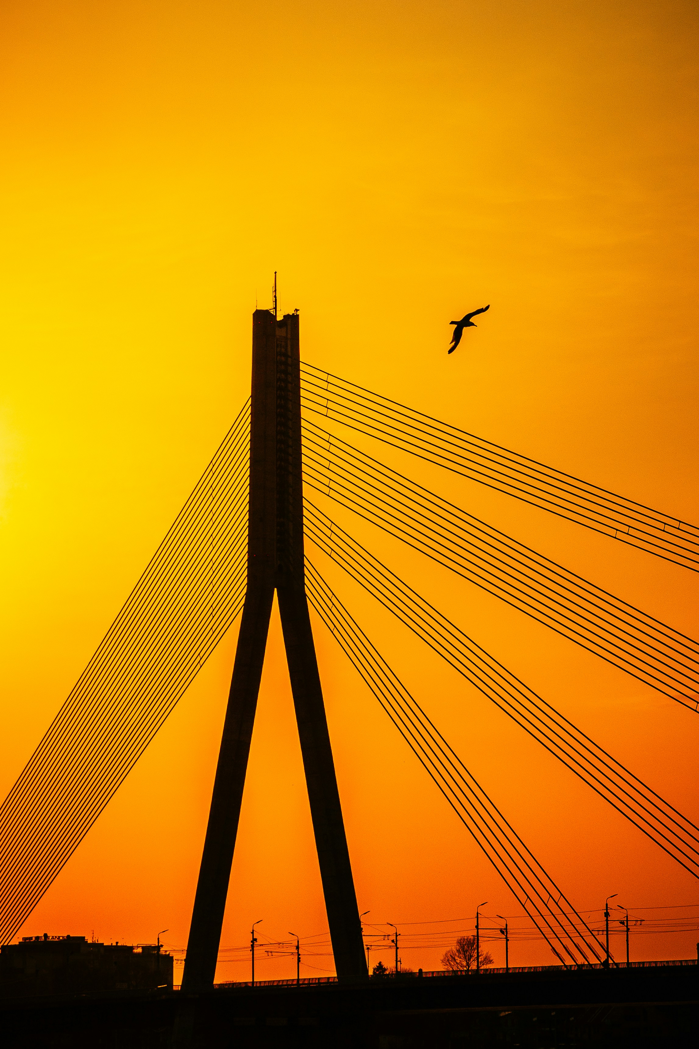 Golden Hour Spire: Silhouette of a Cable-Stayed Bridge