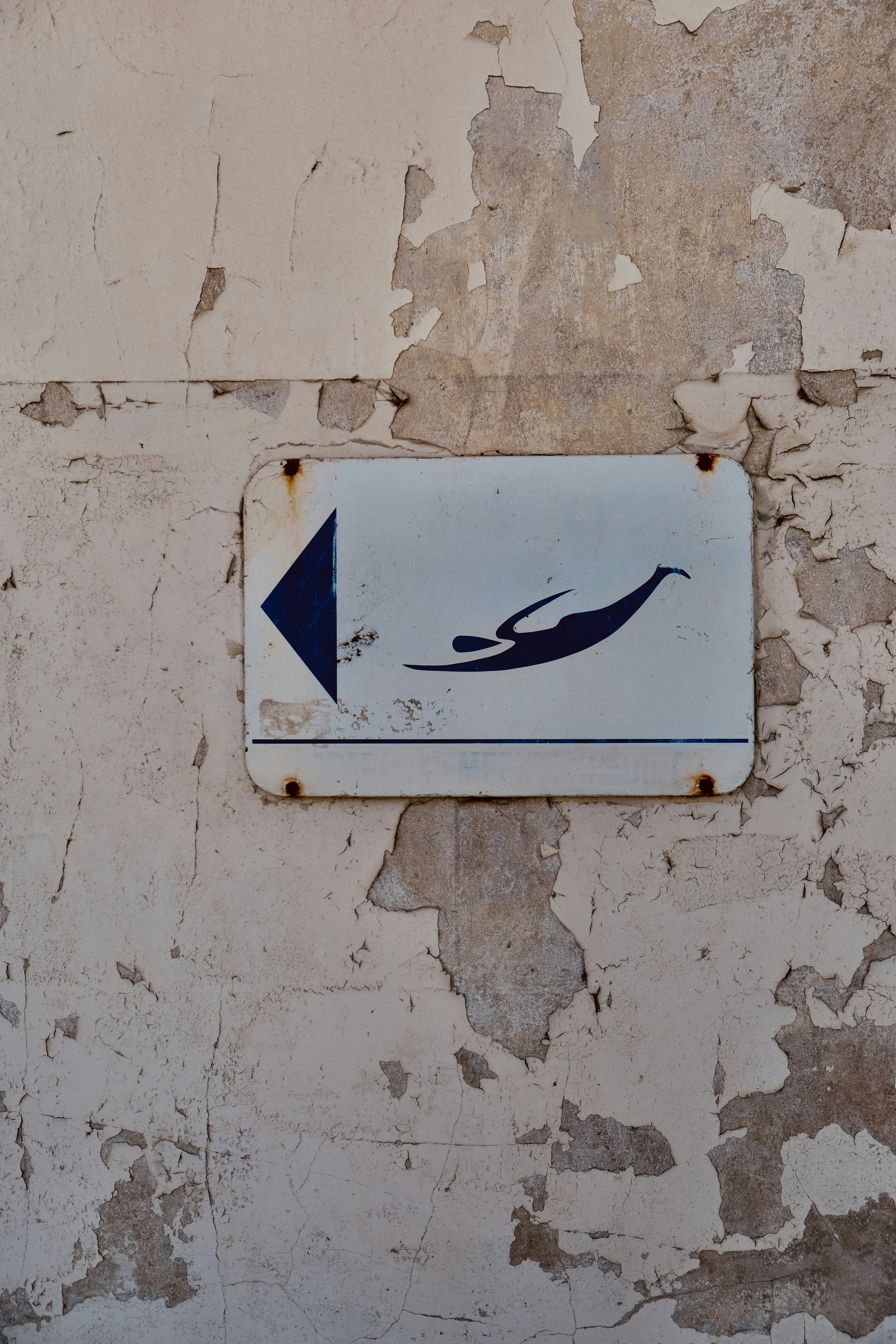Blue Wave Emblem Adrift on a Weathered Wall