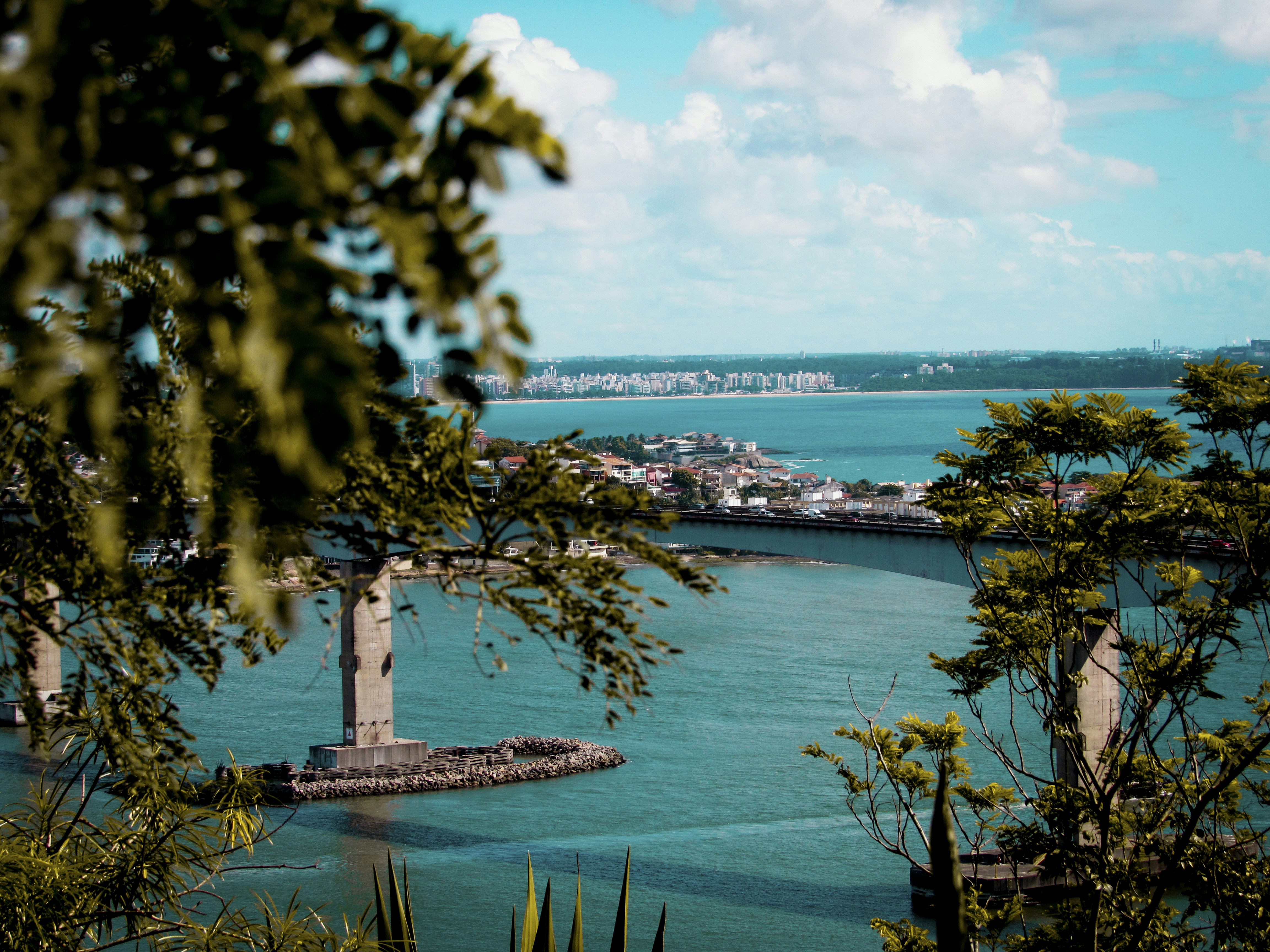 Scenic view of a coastal bridge framed by lush greenery under a bright blue sky.