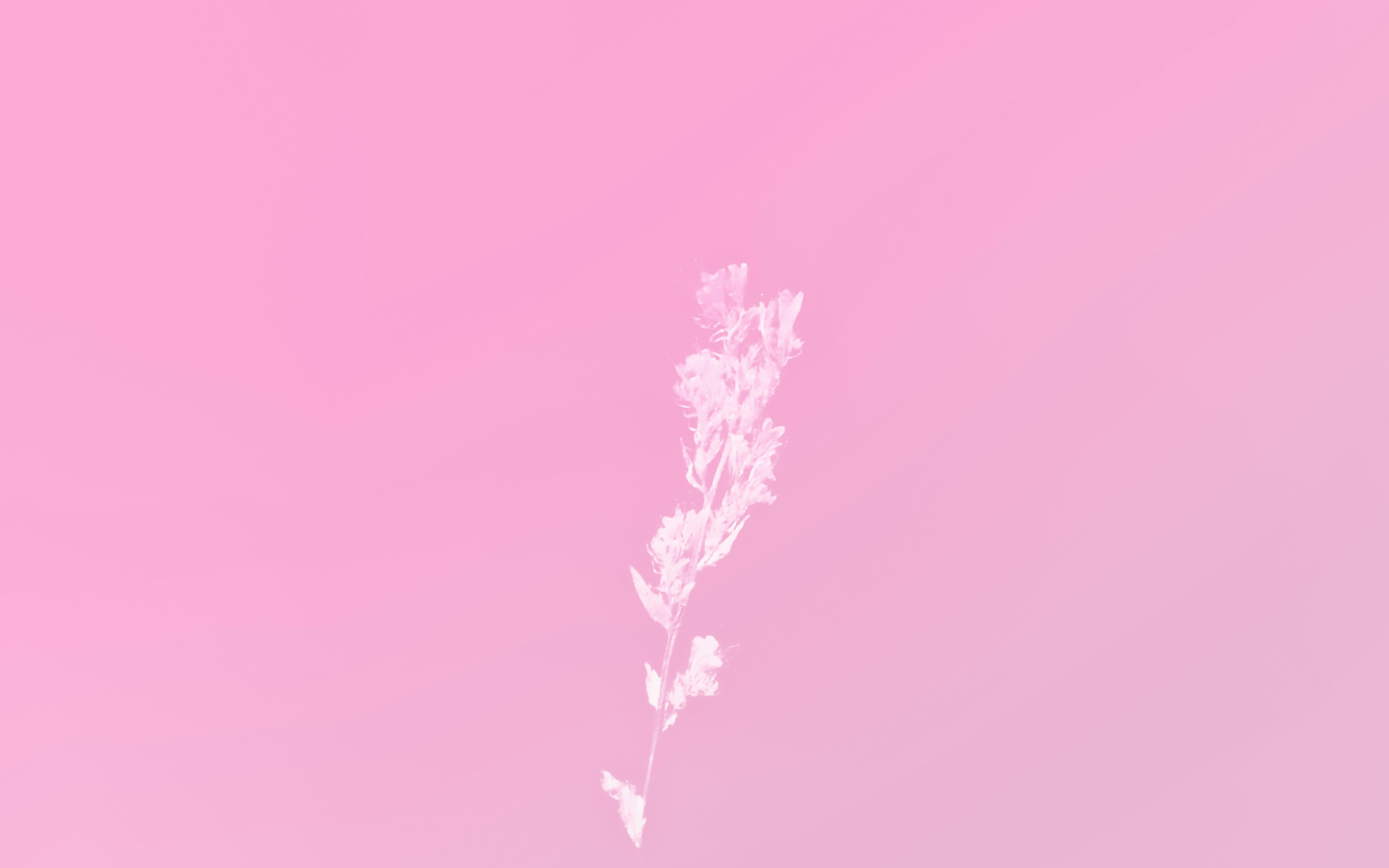 Light Pink Headers For Twitter