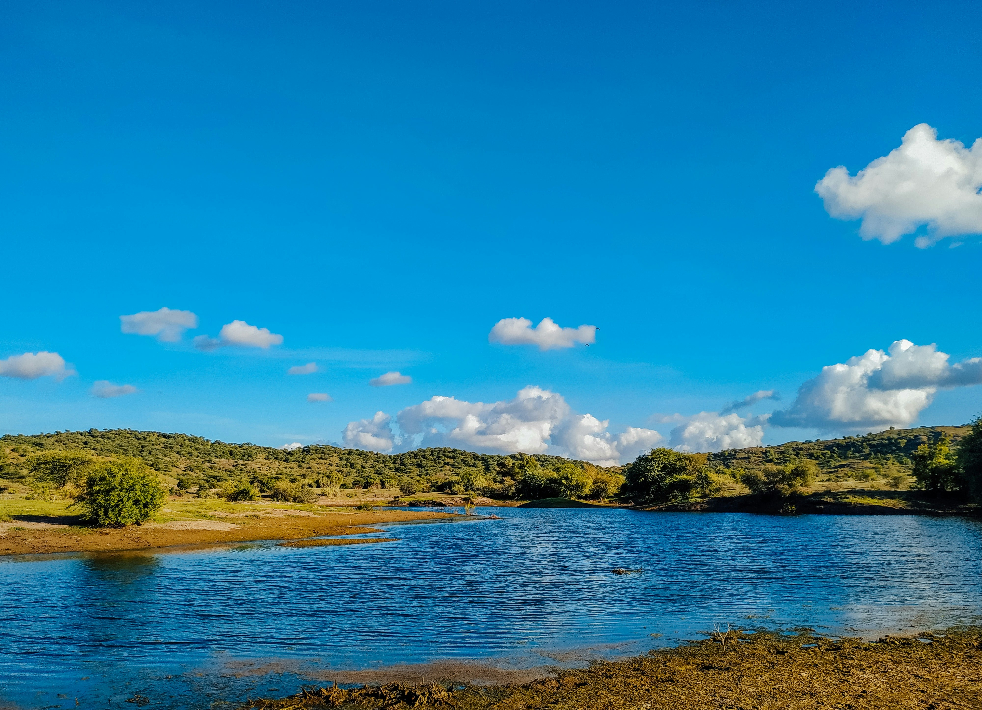 Serene lake bordered by lush greenery under a clear blue sky with scattered clouds.