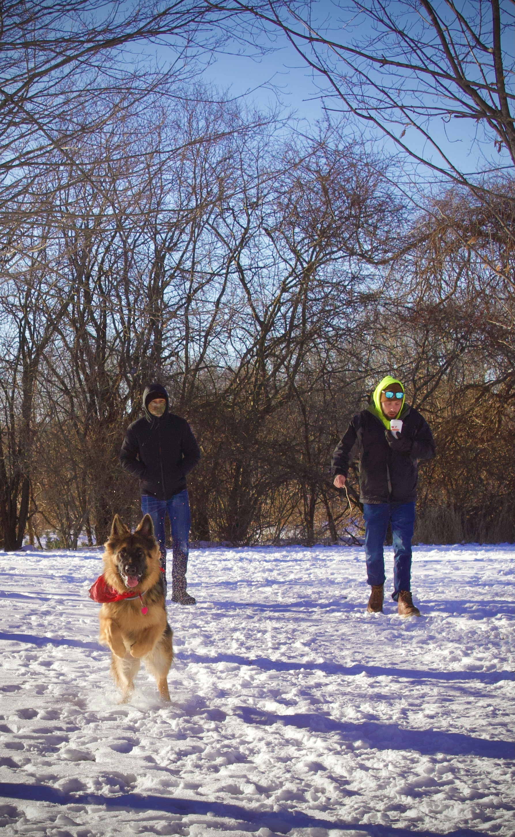 Snowy Field Rendezvous: A Dog Leads the Way as Friends Watch